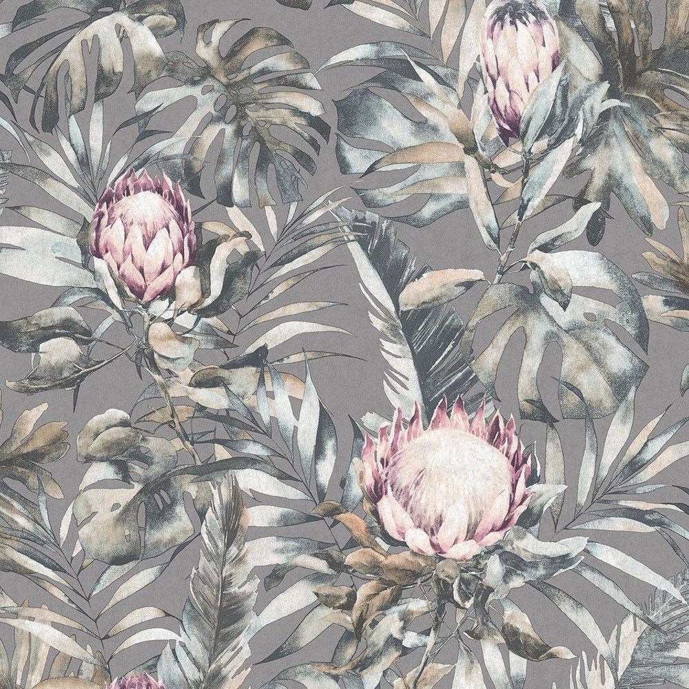Protea Wallpapers - Wallpaper Cave