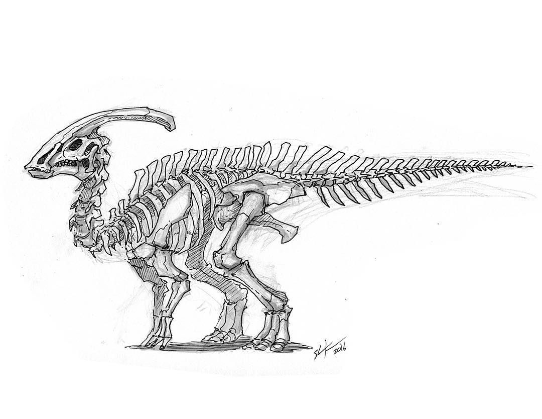 Parasaurolophus Wallpapers - Wallpaper Cave