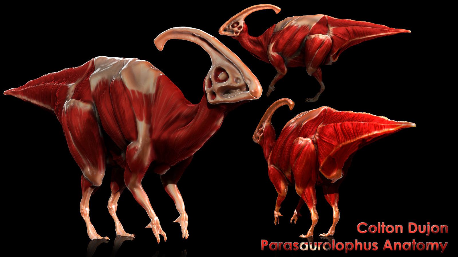 Parasaurolophus Wallpapers - Wallpaper Cave