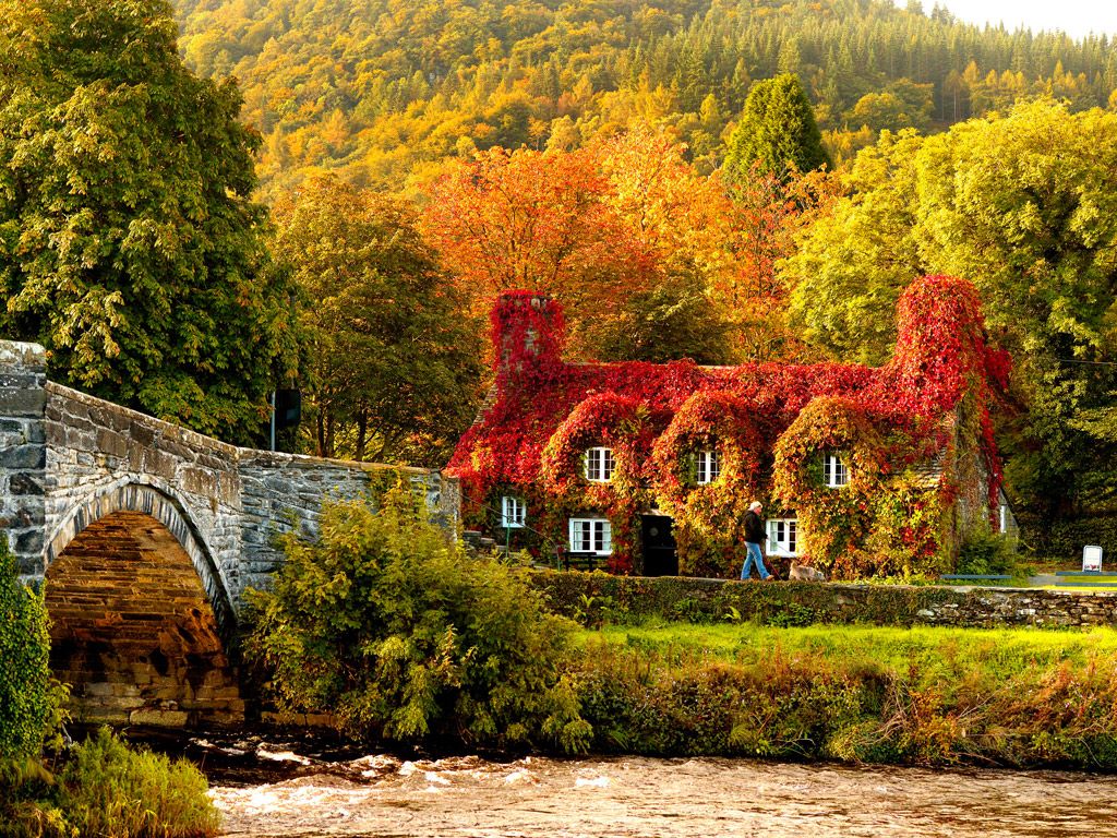 Autumn Ireland Wallpapers - Wallpaper Cave