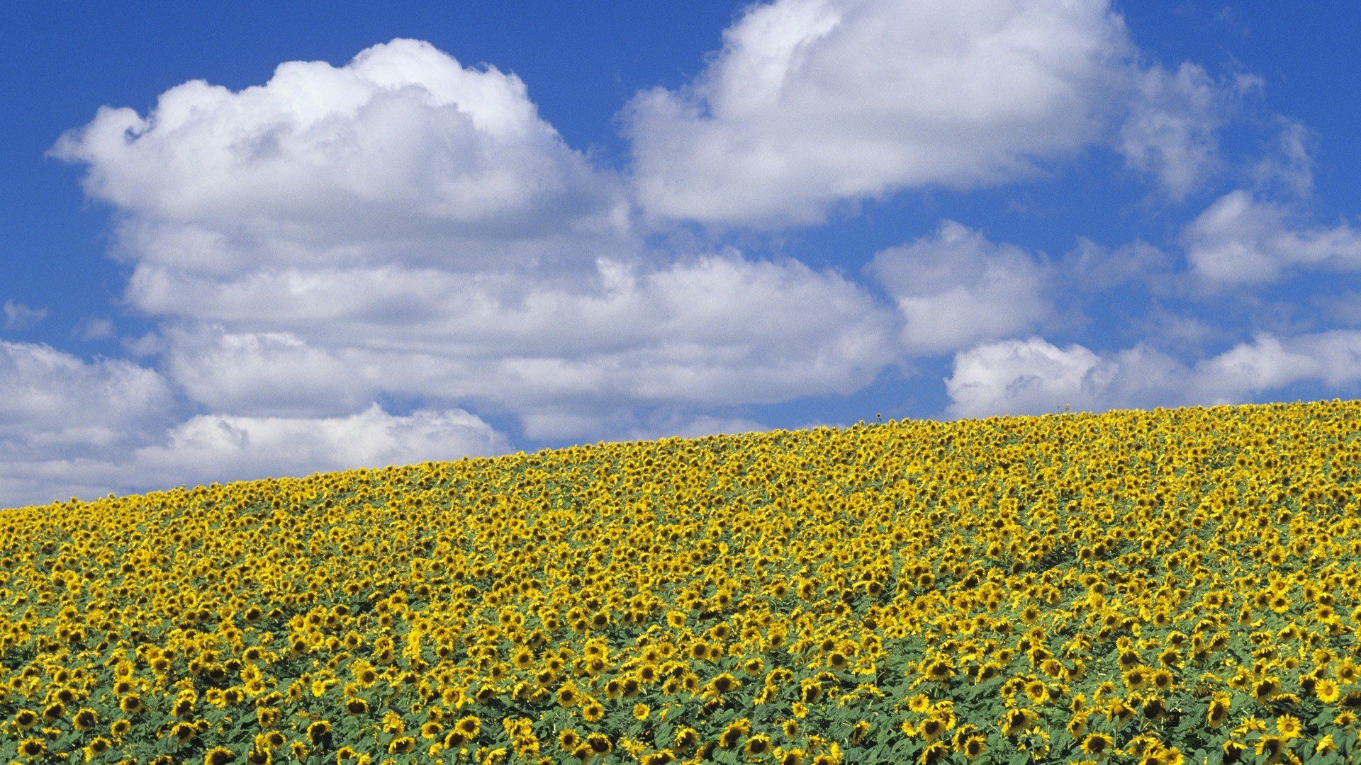 Manitoba Wallpapers - Wallpaper Cave
