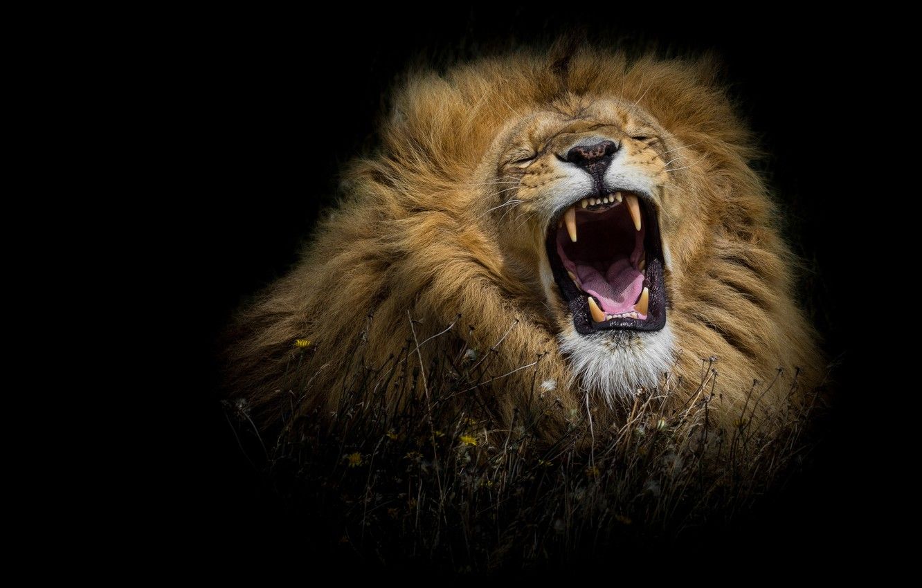 Terrible Wallpapers - Wallpaper Cave