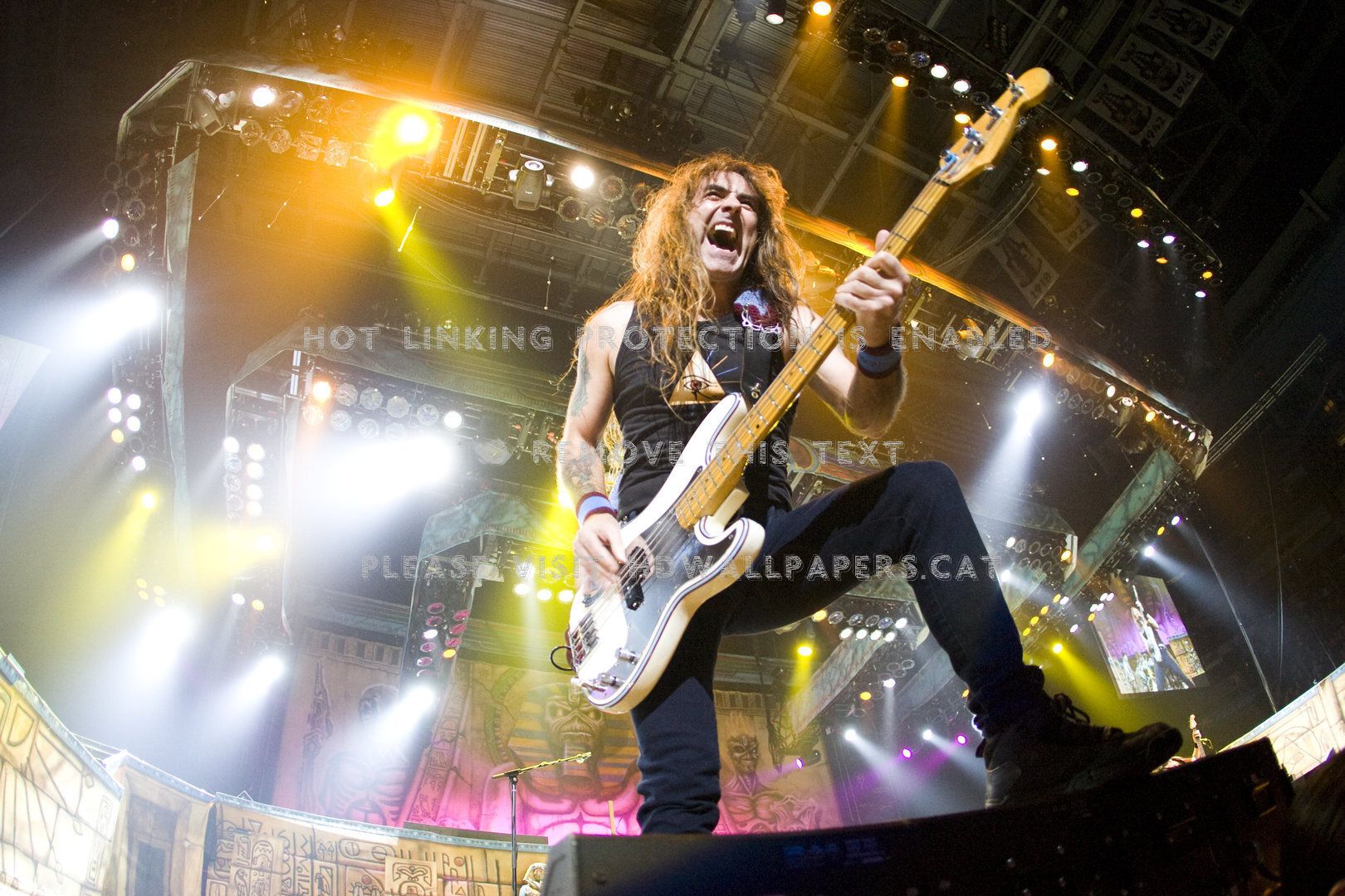Steve Harris Wallpapers - Wallpaper Cave