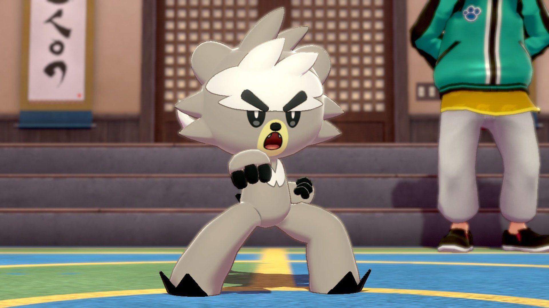 Kubfu Wallpapers - Wallpaper Cave