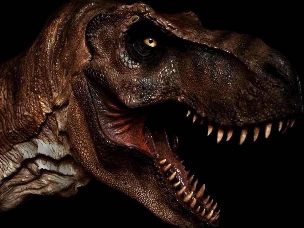 V. Rex Wallpapers - Wallpaper Cave