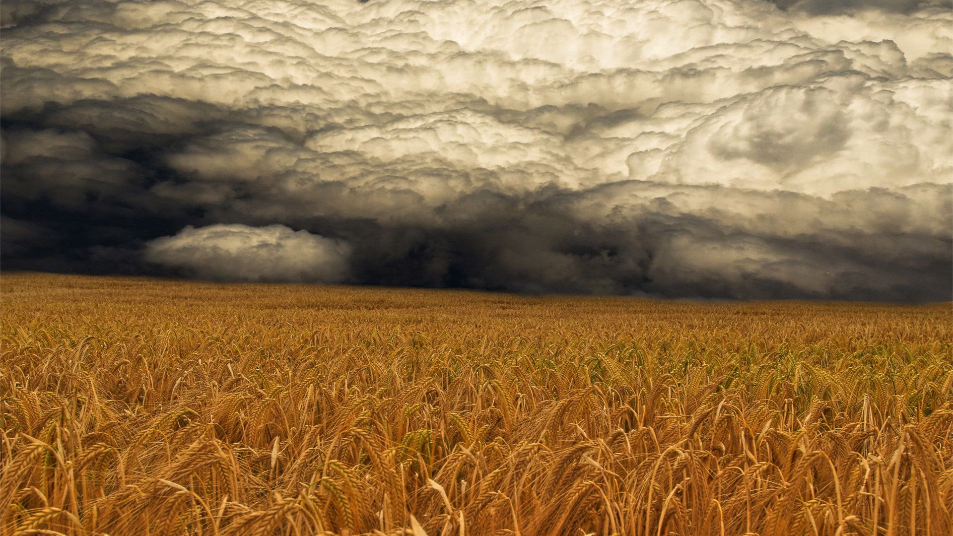 Summer Storm Wallpapers - Wallpaper Cave