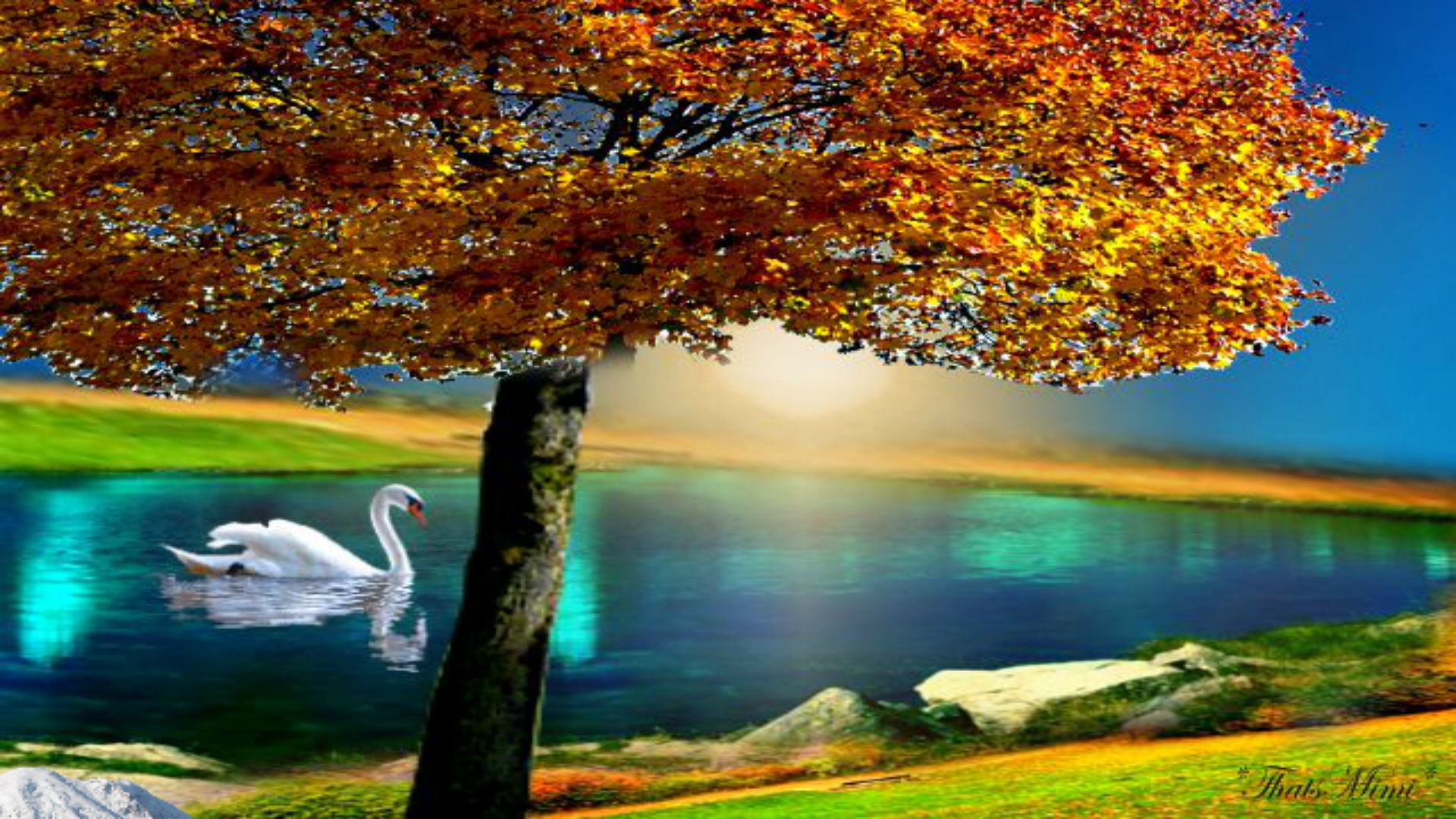 Autumn Swans Wallpapers - Wallpaper Cave