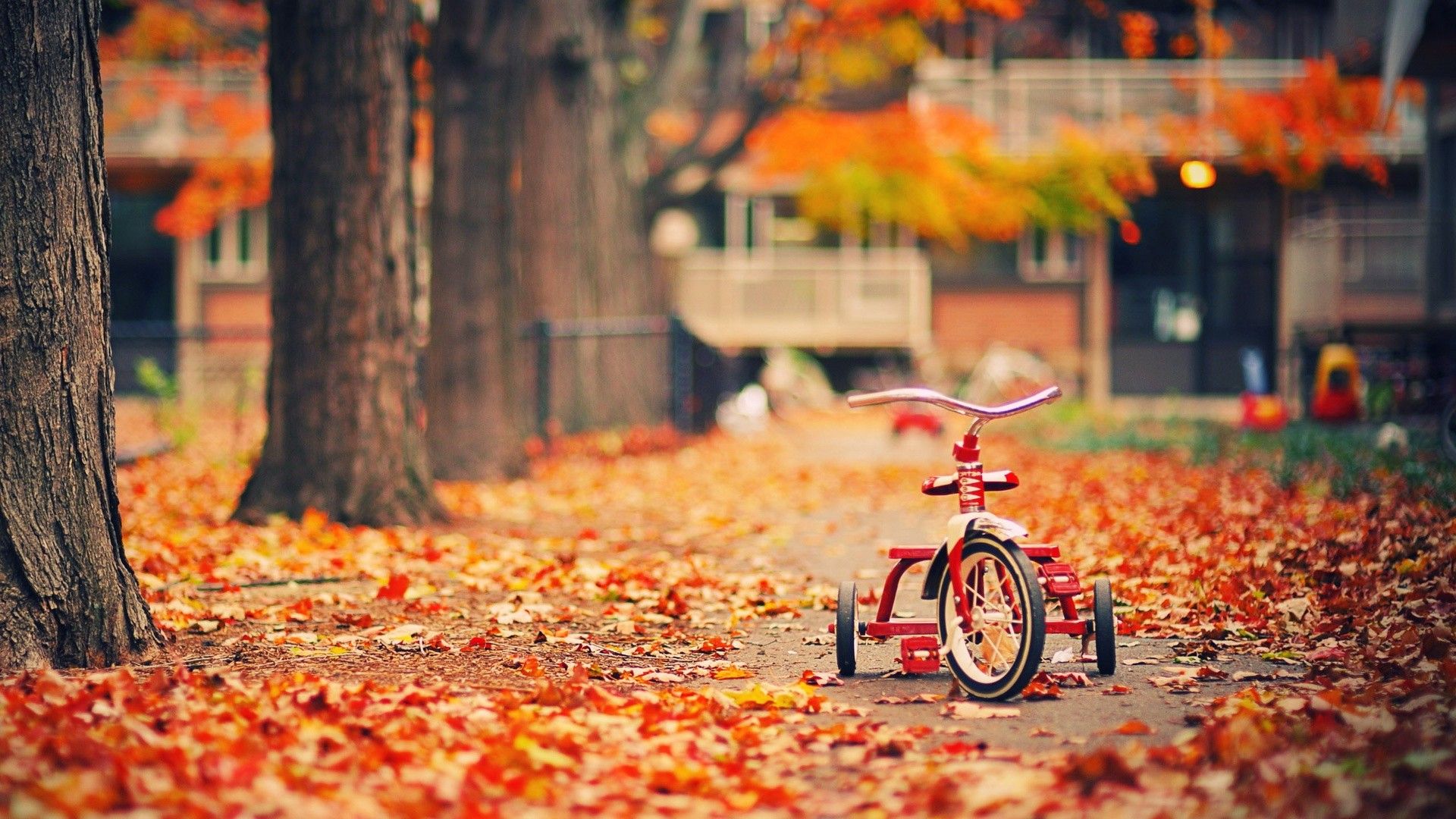 Autumn Children Wallpapers - Wallpaper Cave