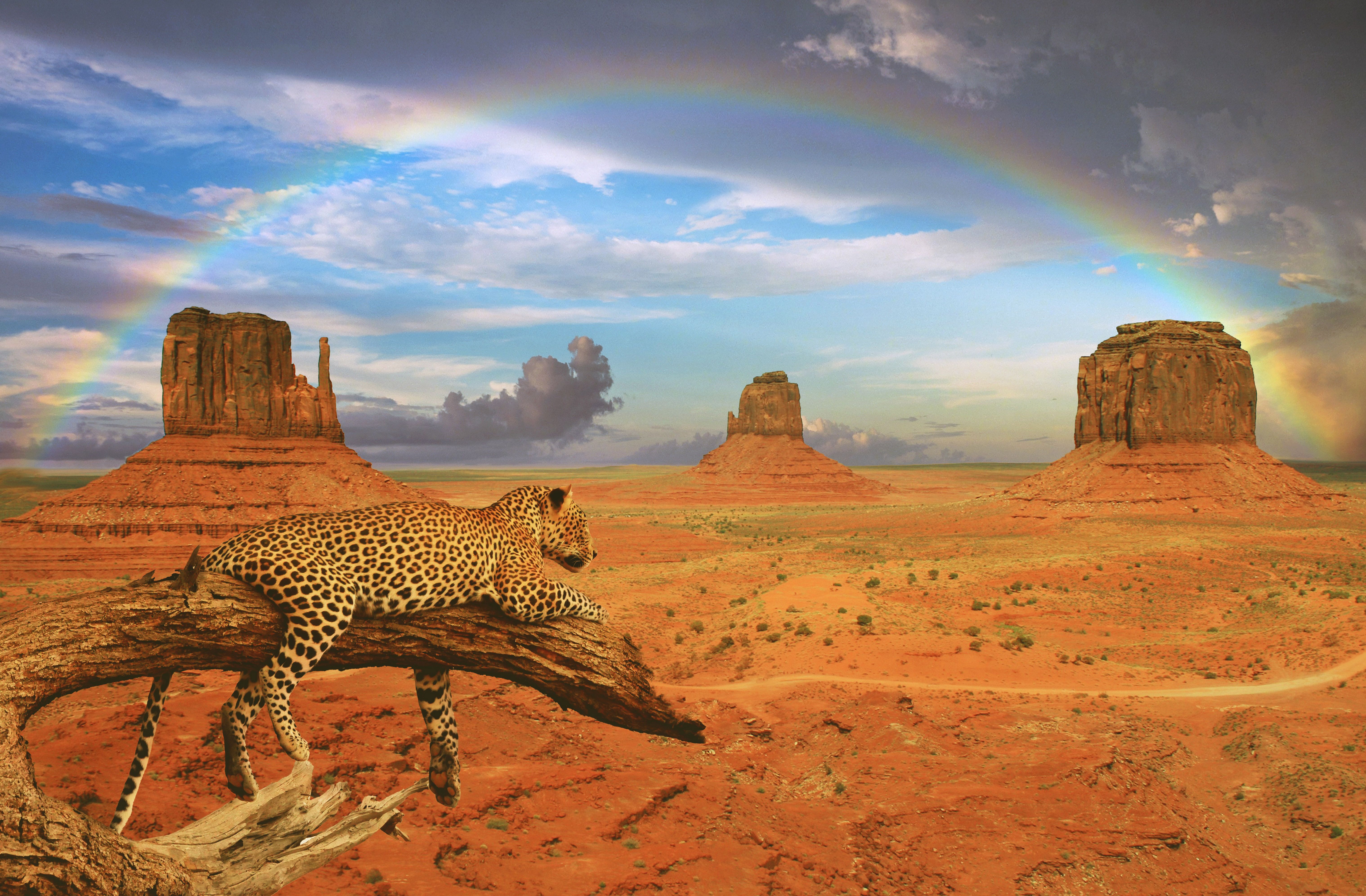 Rainbow Fantasy Wallpapers - Wallpaper Cave