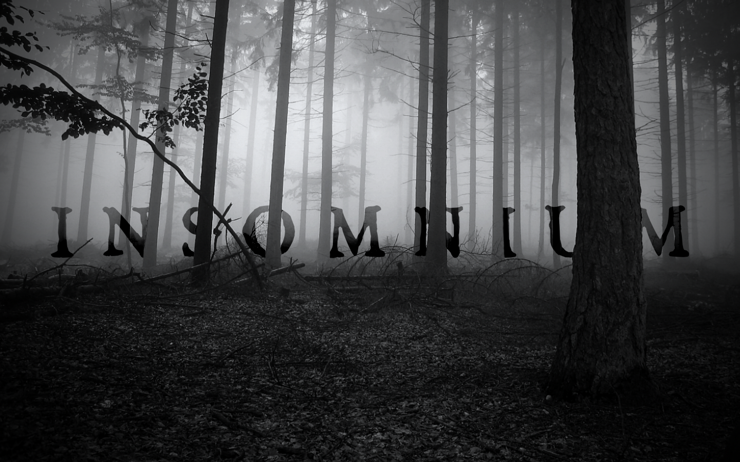 Insomnium Wallpapers - Wallpaper Cave