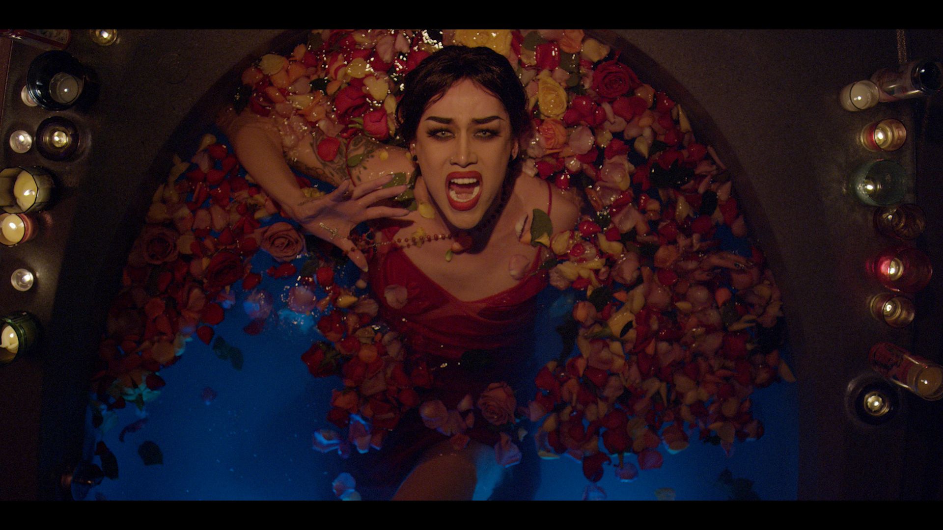 Adore Delano Wallpapers - Wallpaper Cave