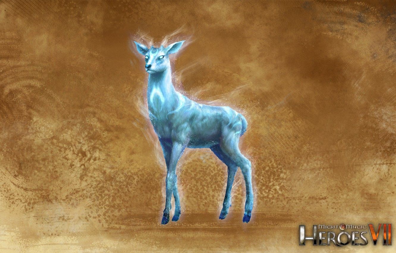 Doe Pics Wallpapers - Wallpaper Cave