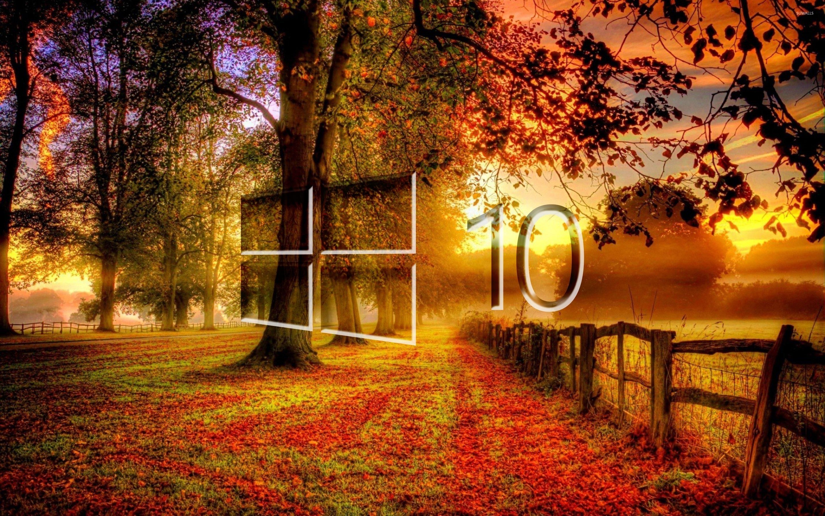 Windows Wallpapers For Windows 11 2024 Win 11 Home Upgrade 2024