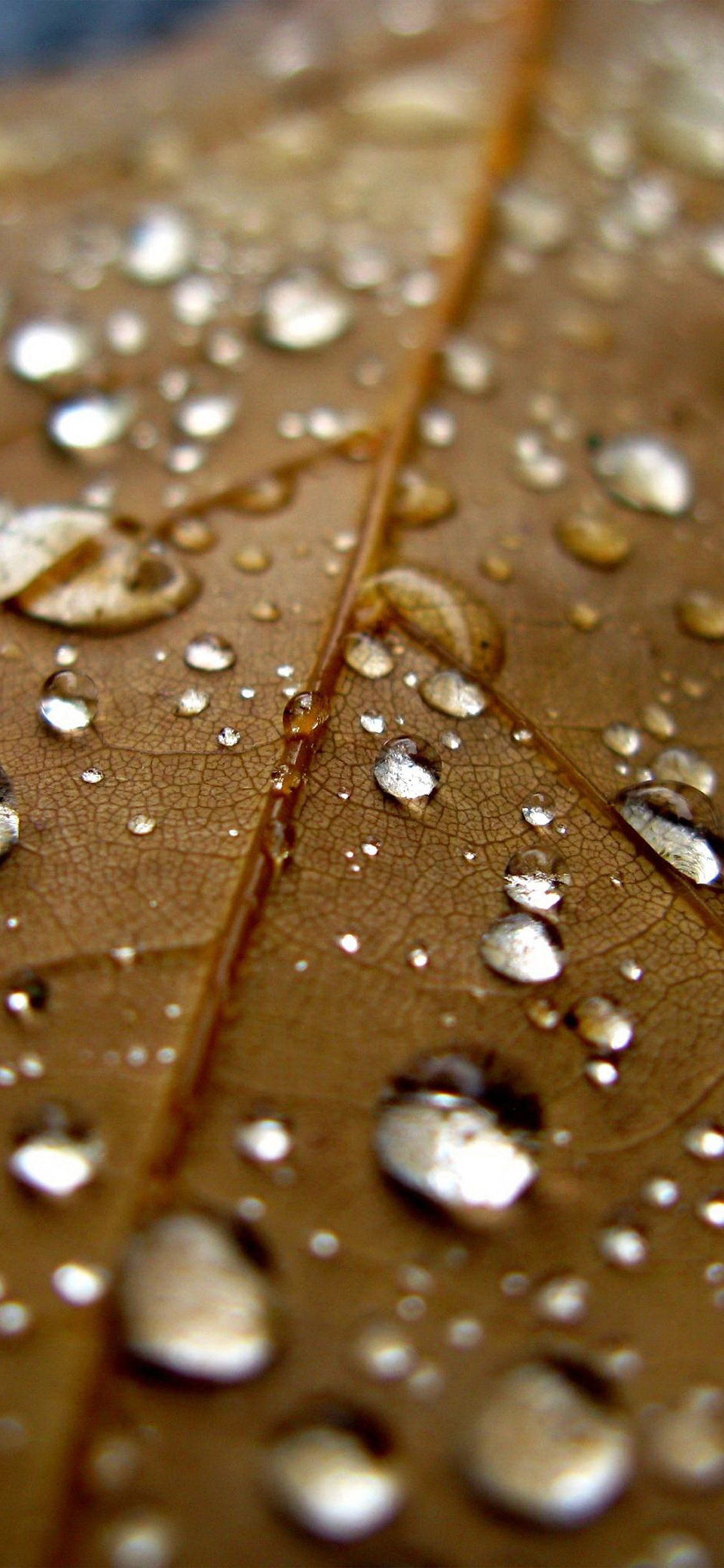 Android Rain Water Wallpapers - Wallpaper Cave