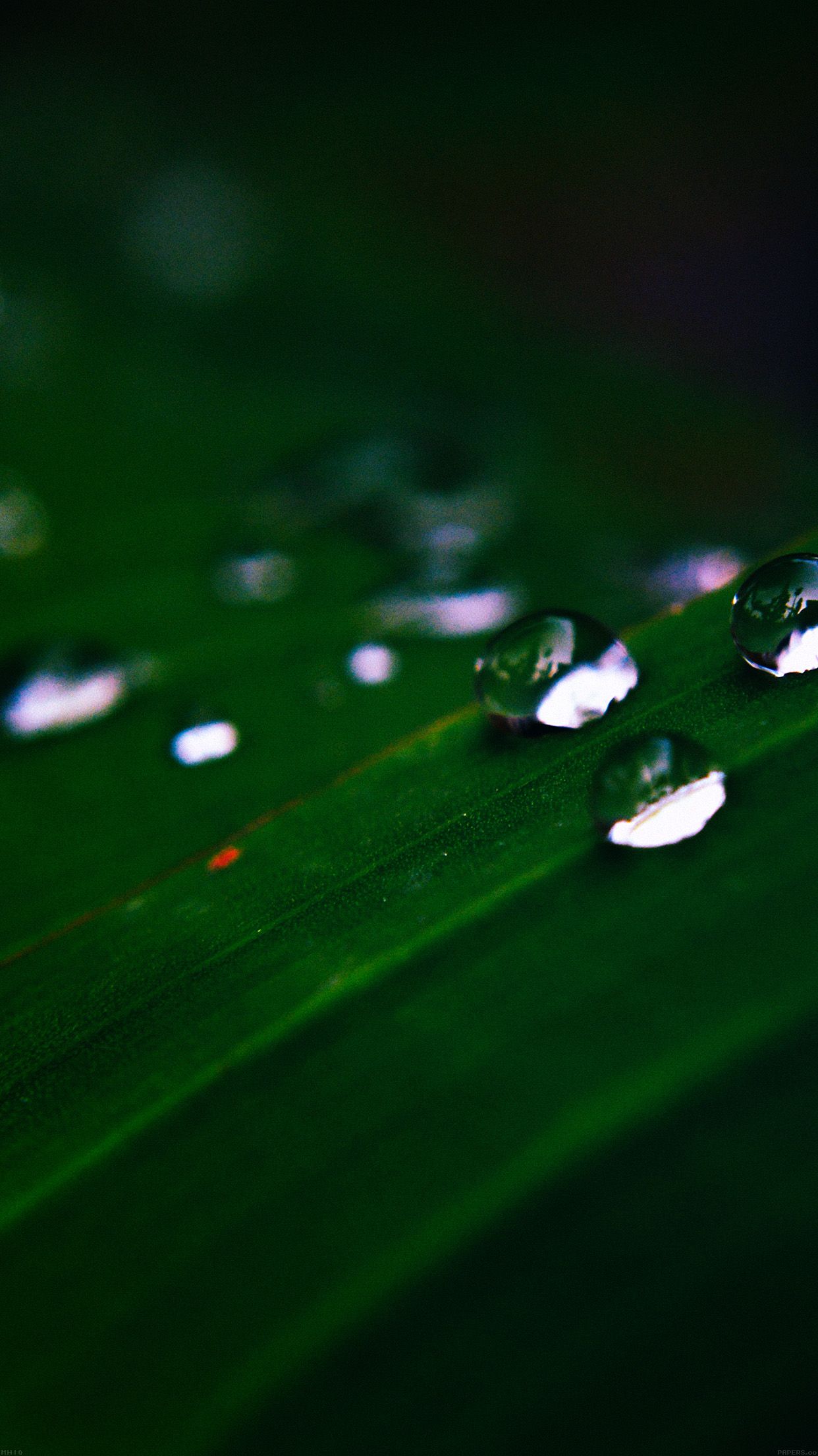 Android Rain Water Wallpapers - Wallpaper Cave