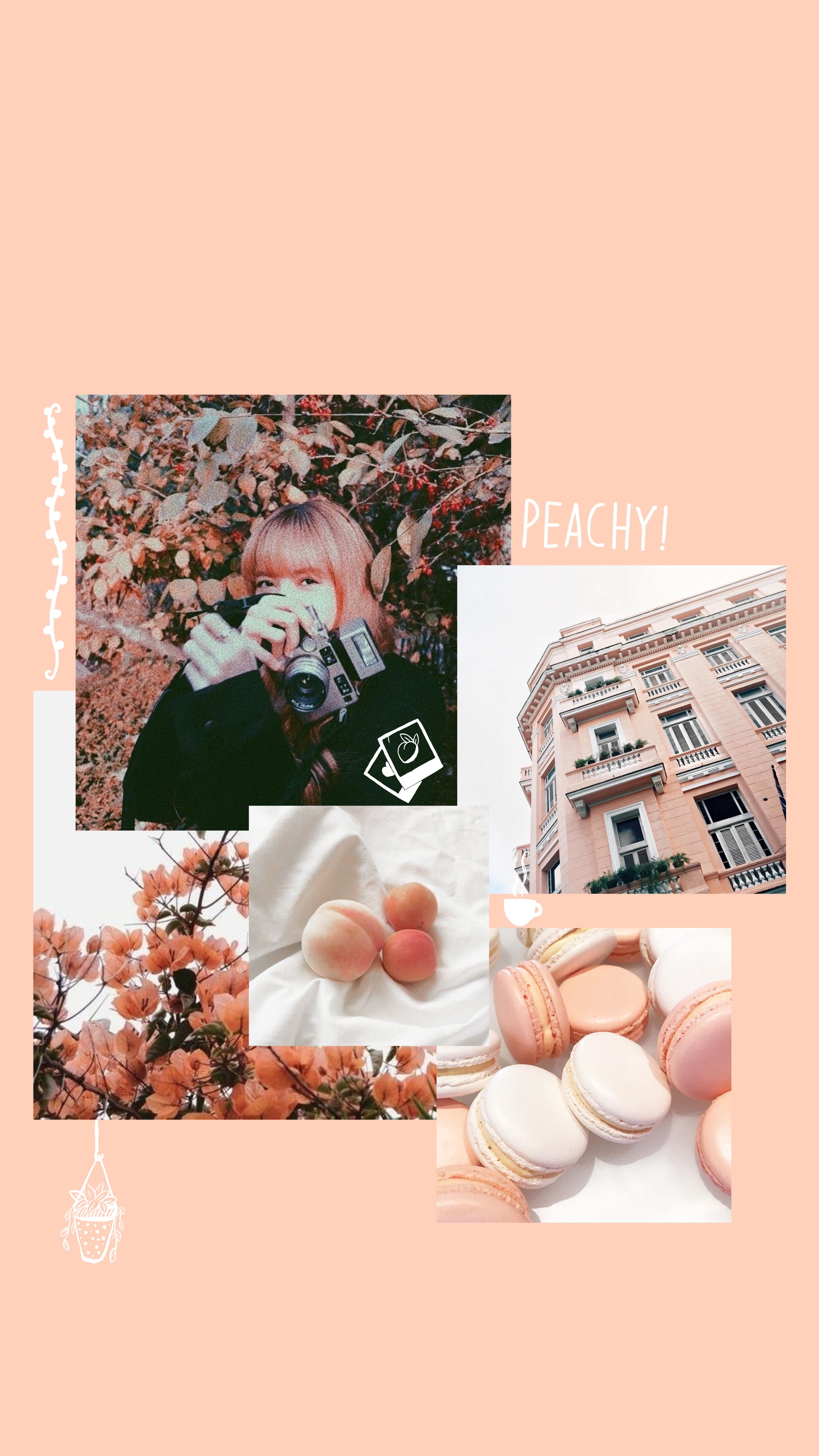 Peachy Aesthetics Wallpapers - Wallpaper Cave