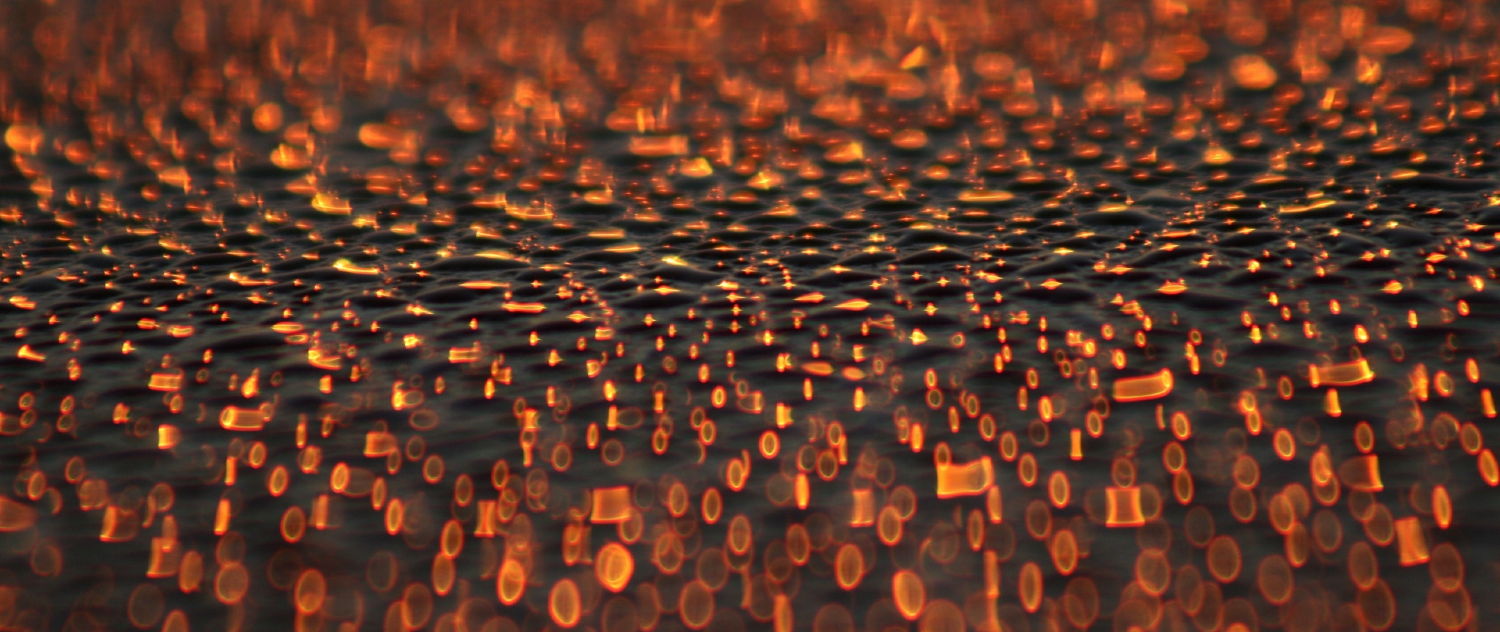 Macro Ultra HD Wallpapers - Wallpaper Cave