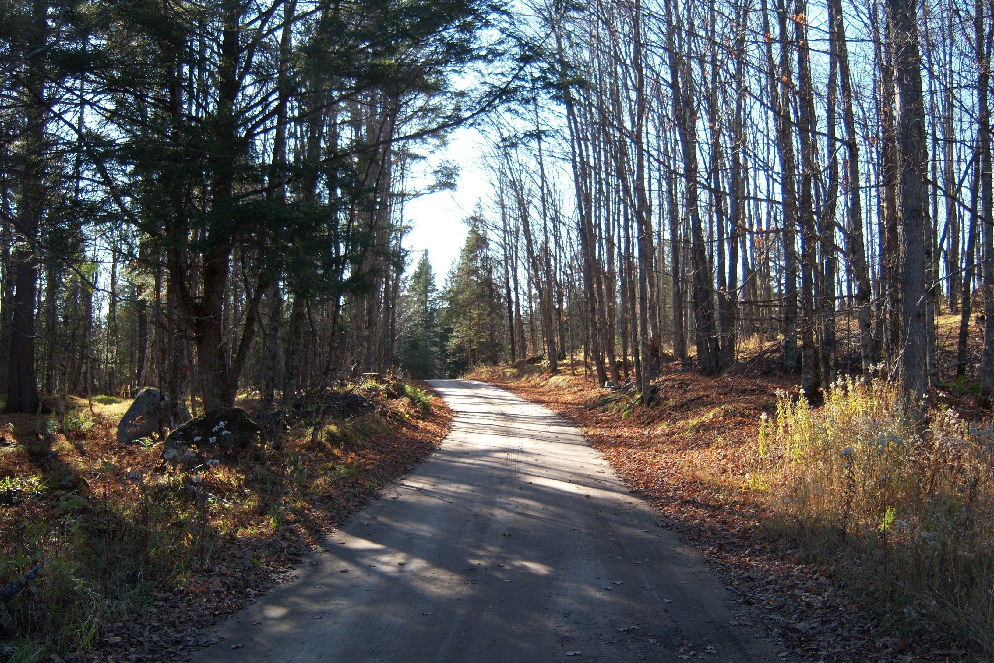 Country Roads Wallpapers - Wallpaper Cave