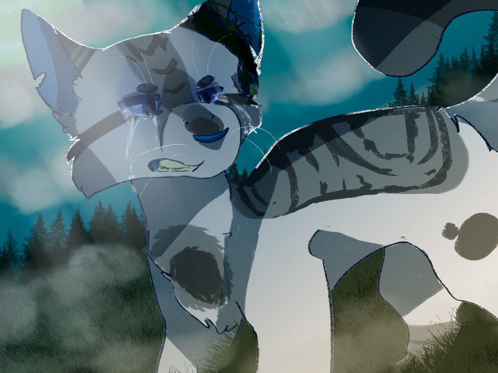 Ivypool Wallpapers - Wallpaper Cave