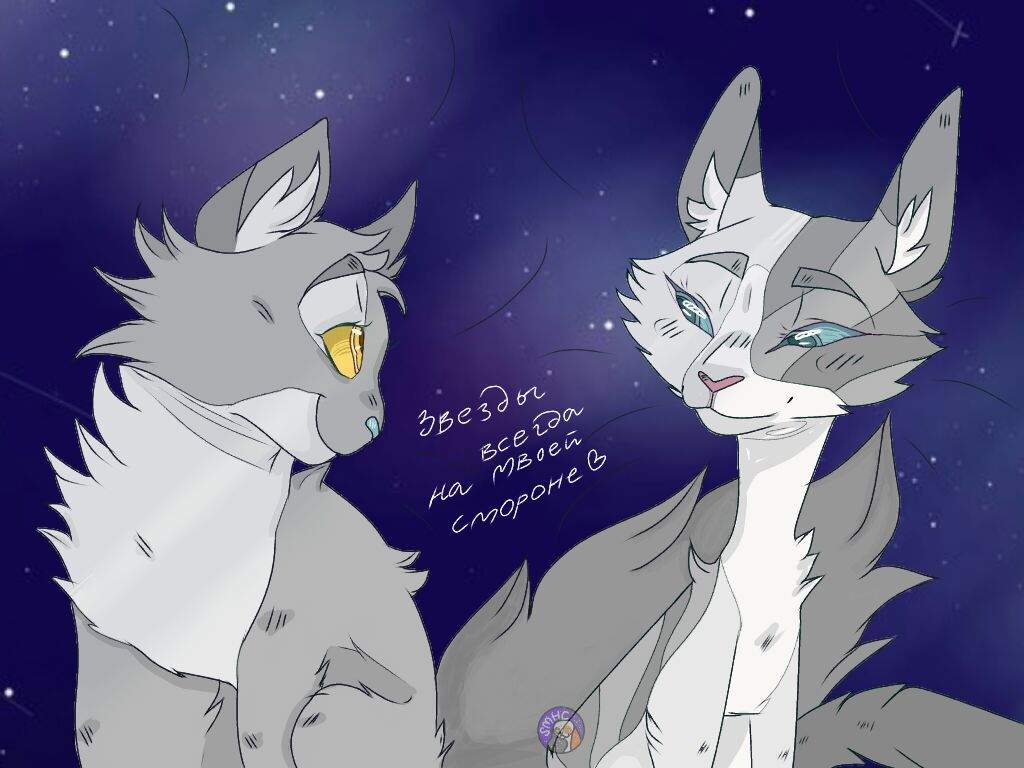 Ivypool Wallpapers - Wallpaper Cave