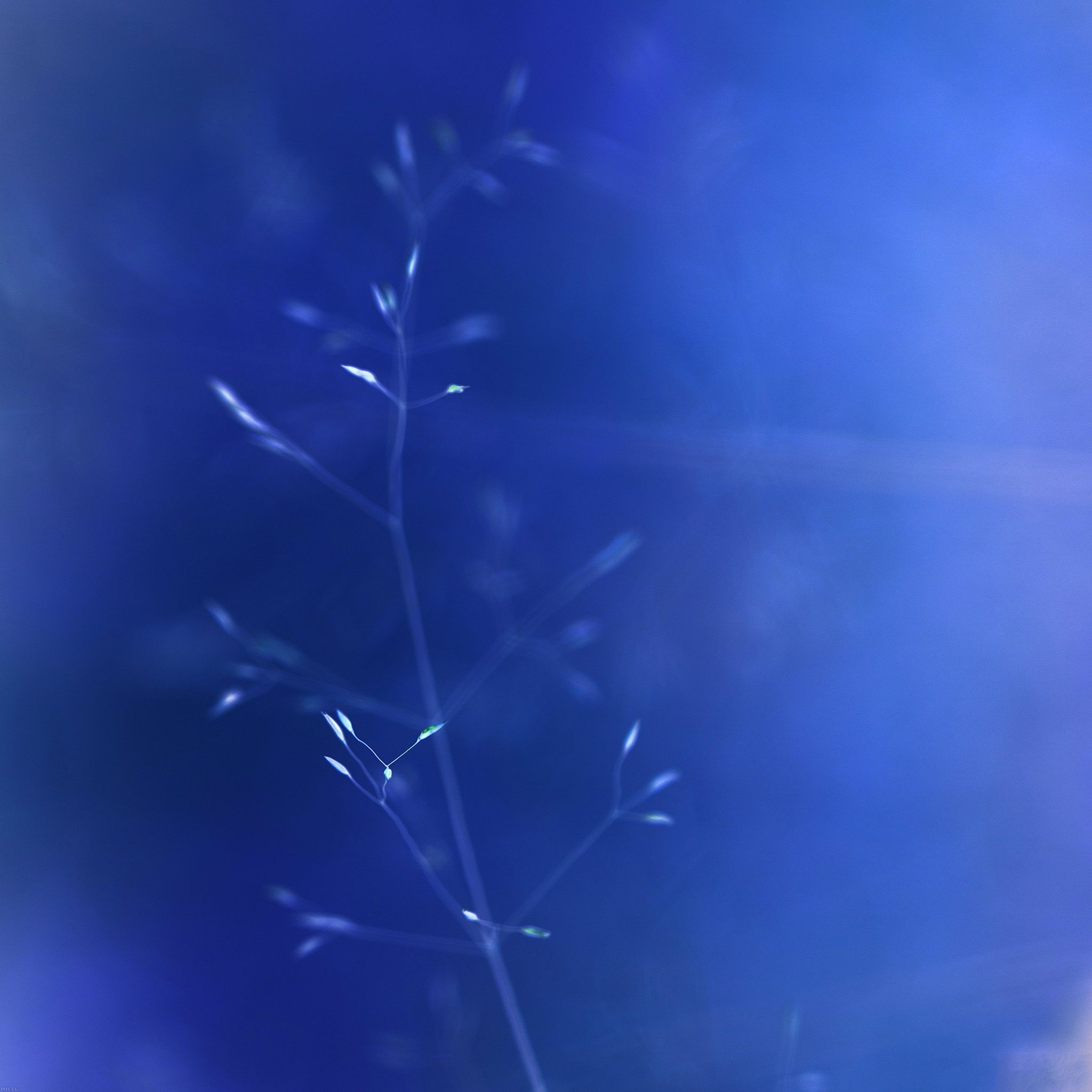 iPad Minimalist Spring Landscape Wallpapers - Wallpaper Cave