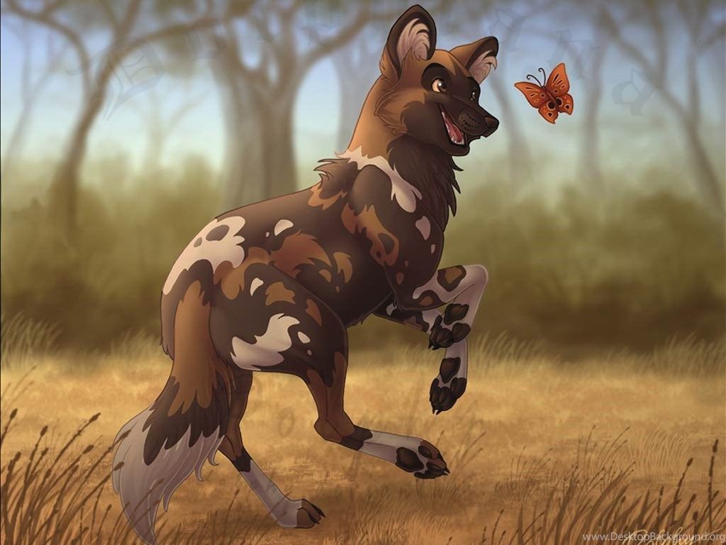 Wild Dogs Wallpapers - Wallpaper Cave