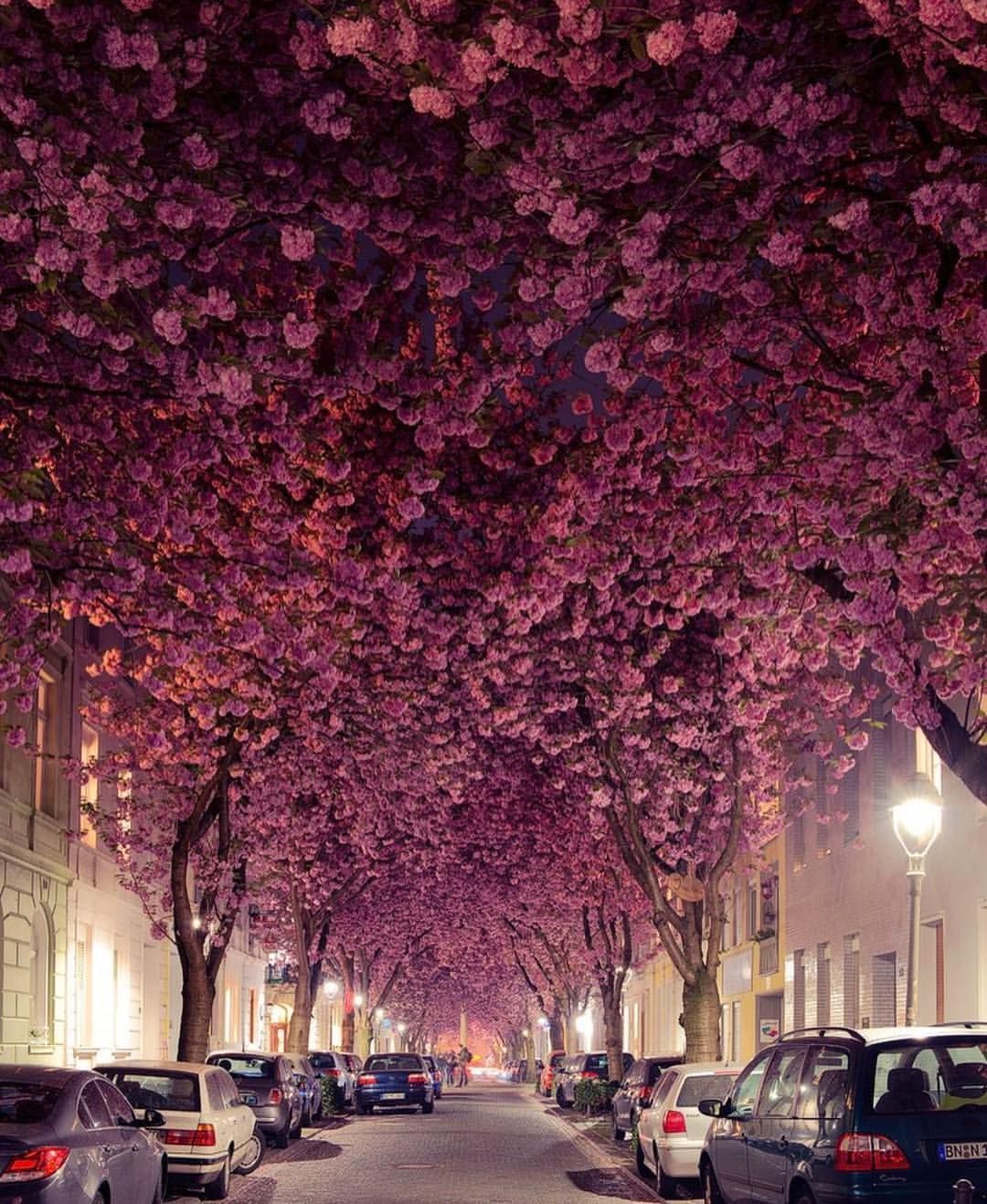 Bonn Wallpapers - Wallpaper Cave