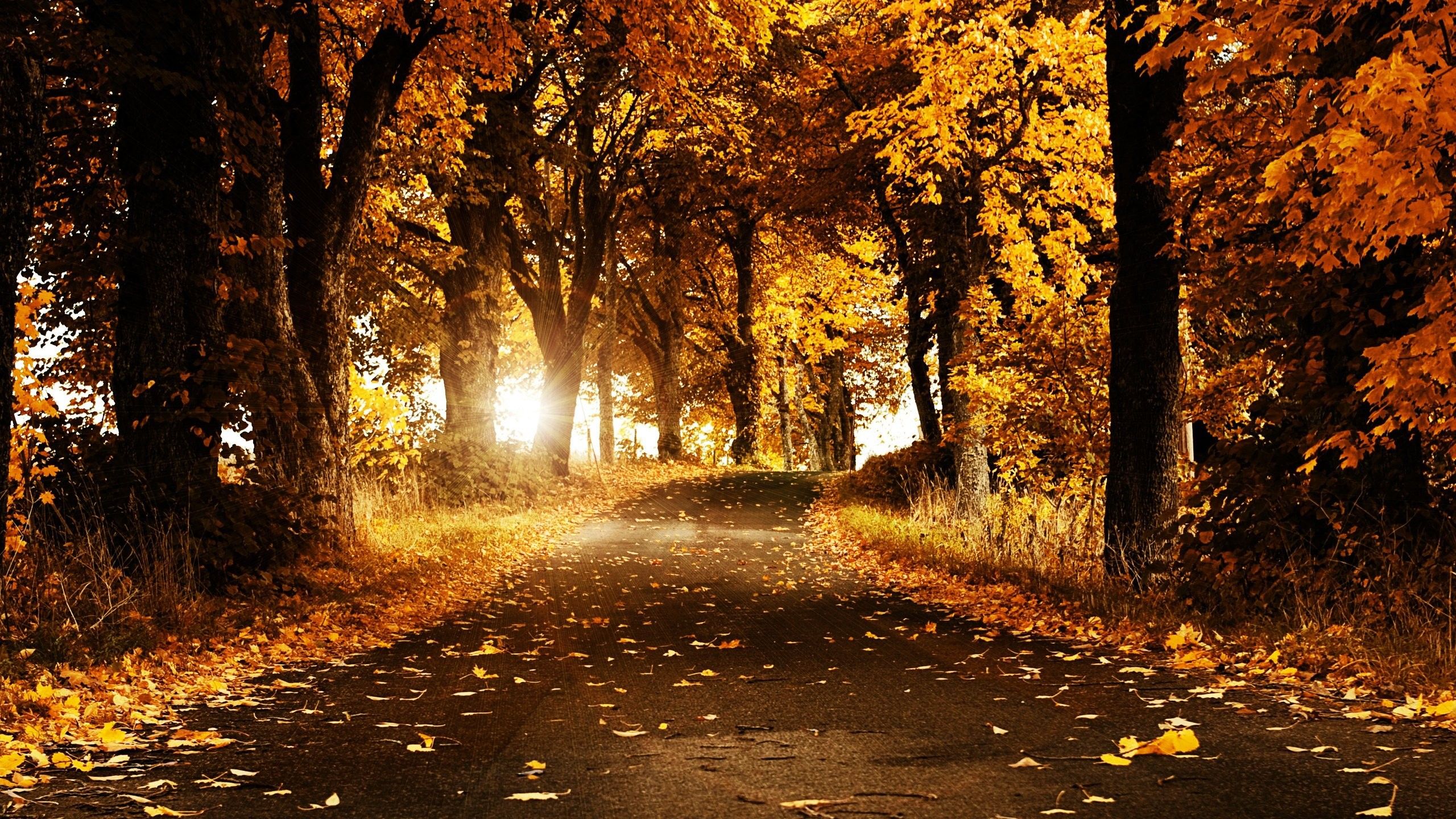 Autumn Beautiful Wallpapers - Wallpaper Cave