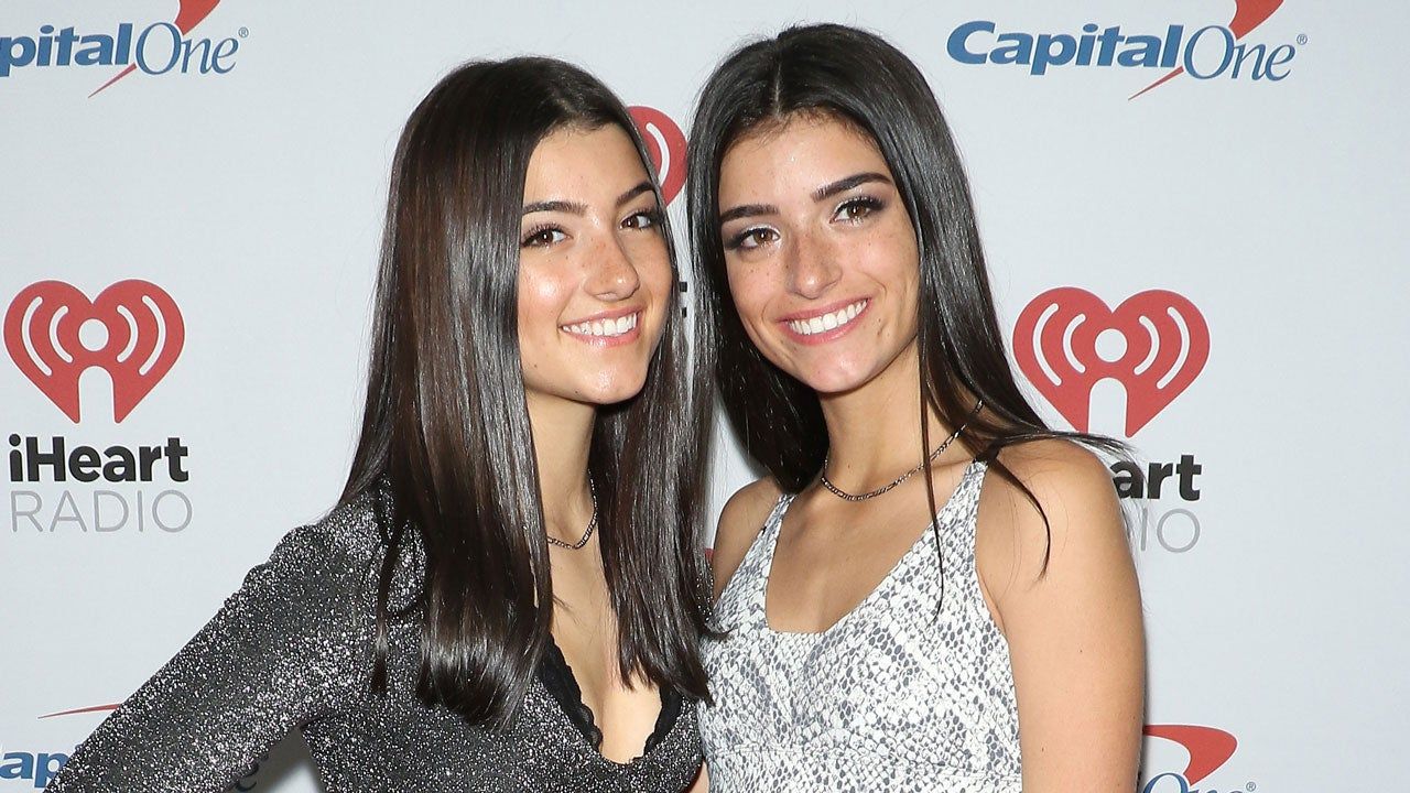 Charli And Dixie Wallpapers - Wallpaper Cave