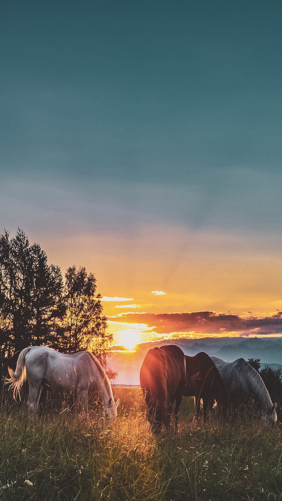 Horses In Sunset Wallpapers - Wallpaper Cave