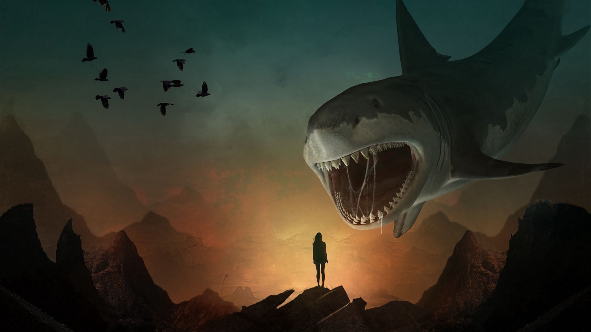 Shark Attack Wallpapers - Wallpaper Cave