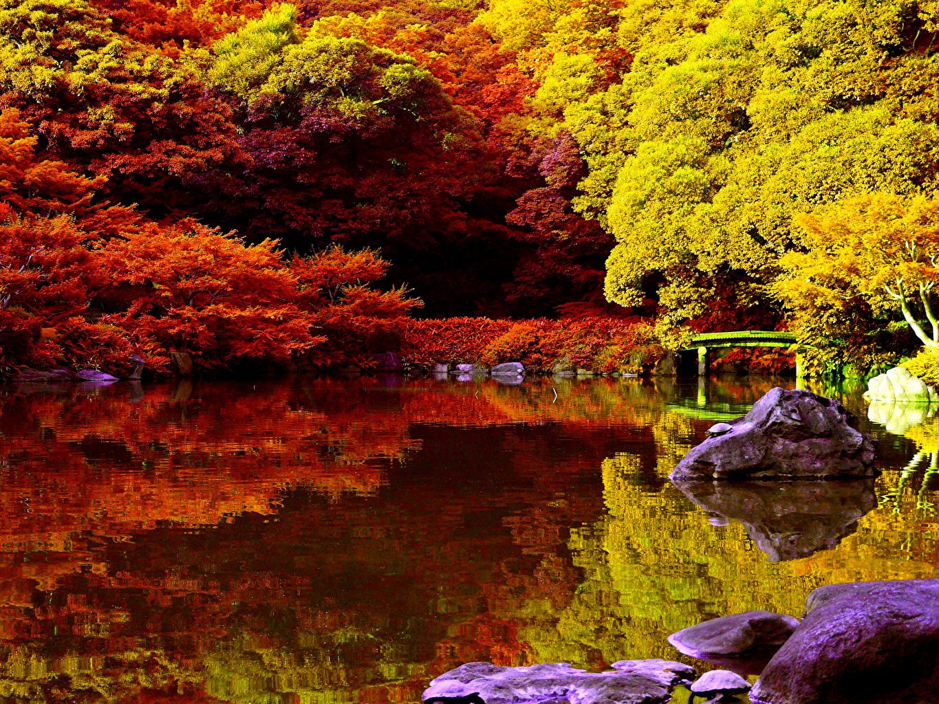 Pond Autumn Park Wallpapers - Wallpaper Cave