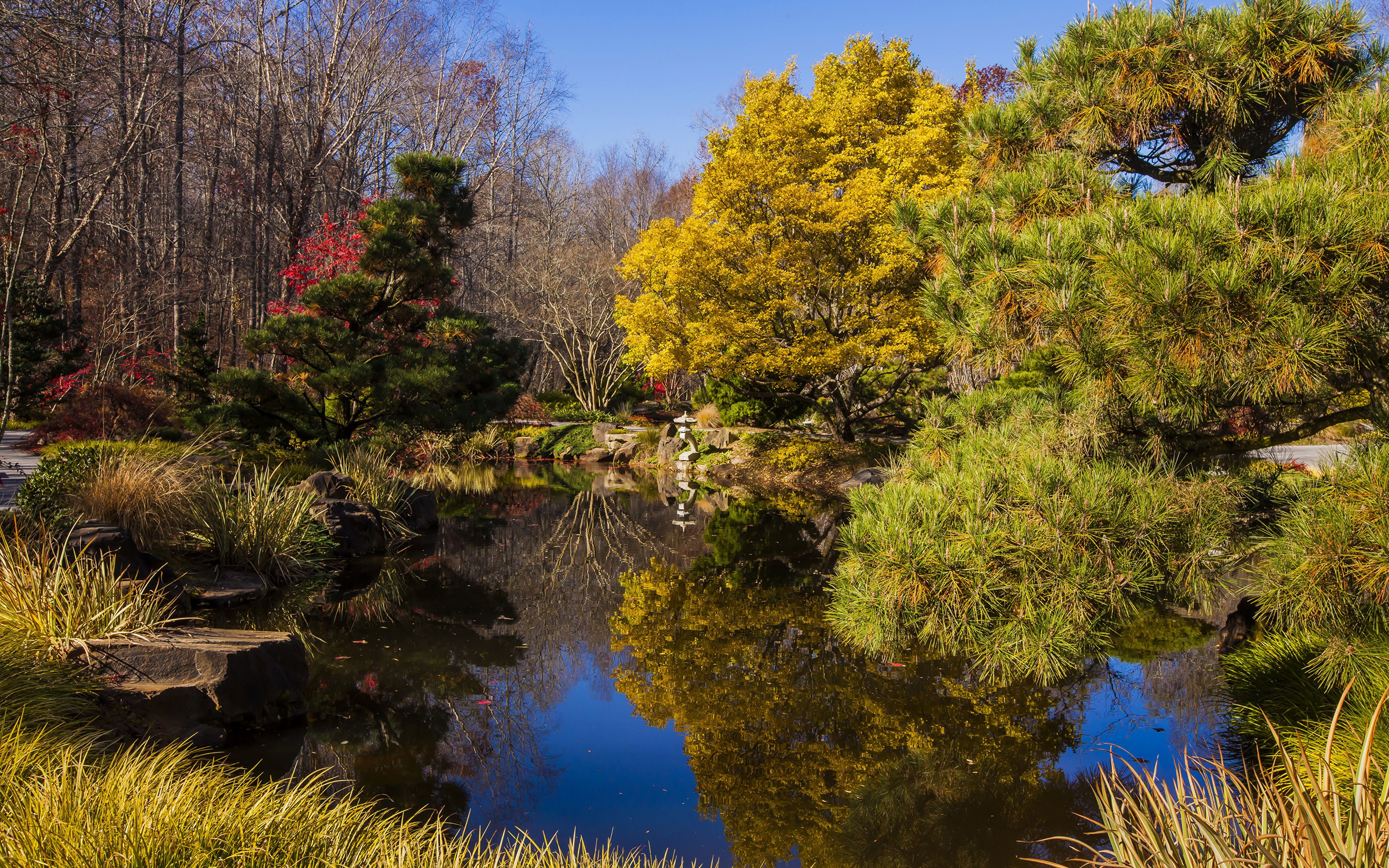 Pond Autumn Park Wallpapers - Wallpaper Cave