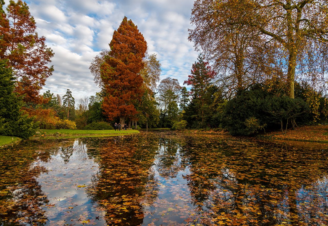 Pond Autumn Park Wallpapers - Wallpaper Cave