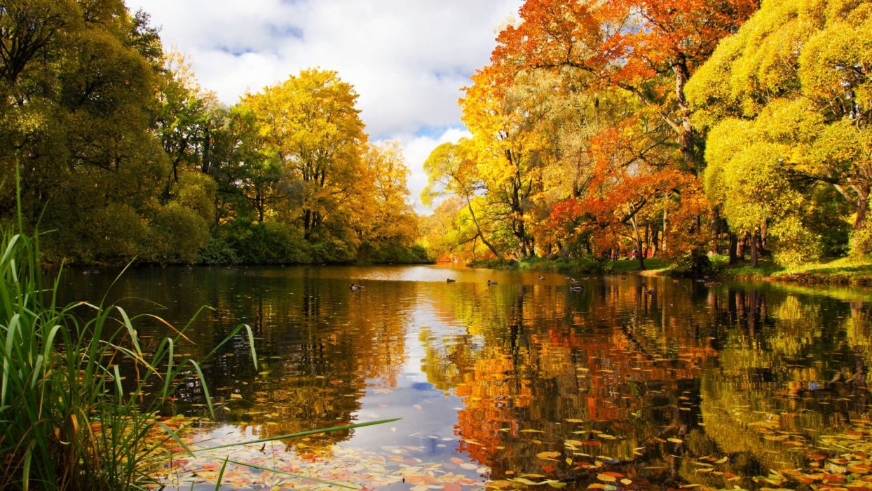 Pond Autumn Park Wallpapers - Wallpaper Cave