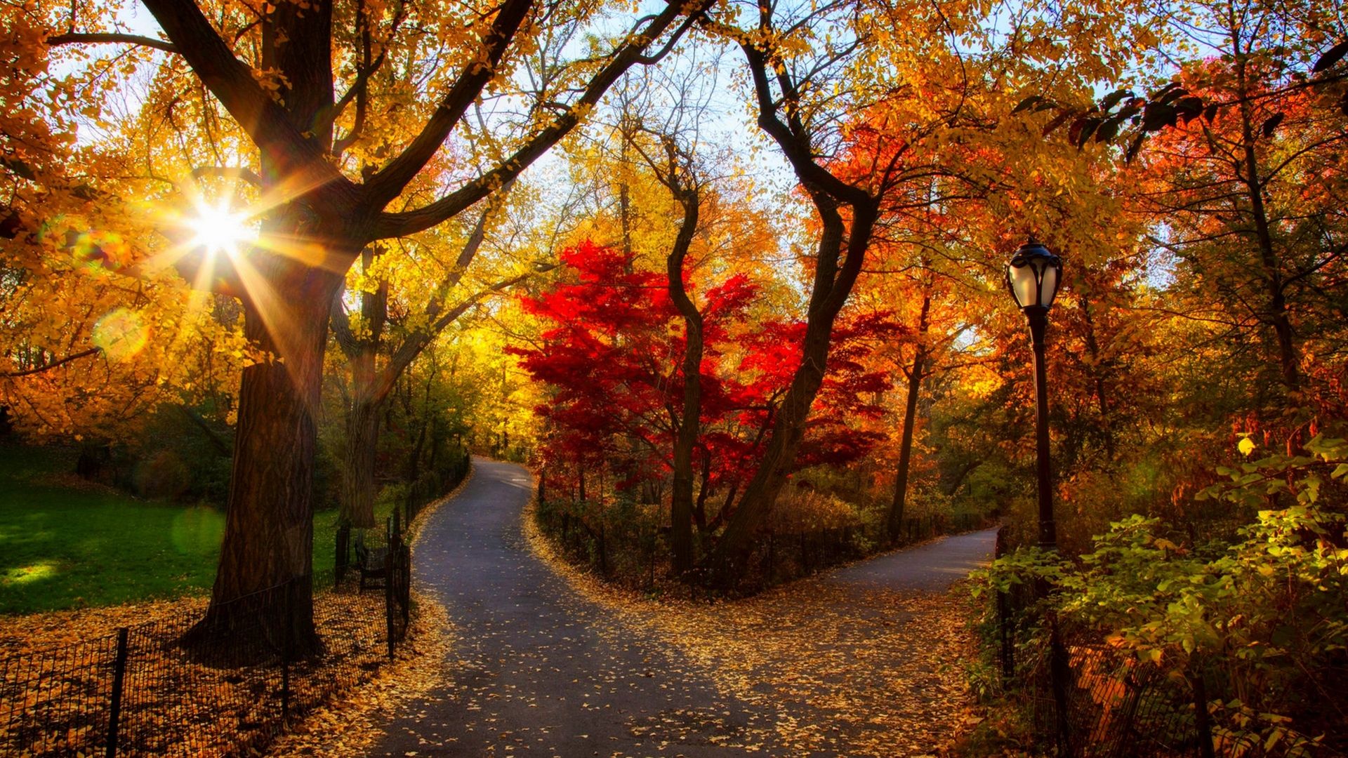 Pond Autumn Park Wallpapers - Wallpaper Cave