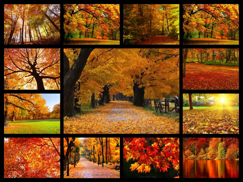 Autumn Lovers Wallpapers - Wallpaper Cave