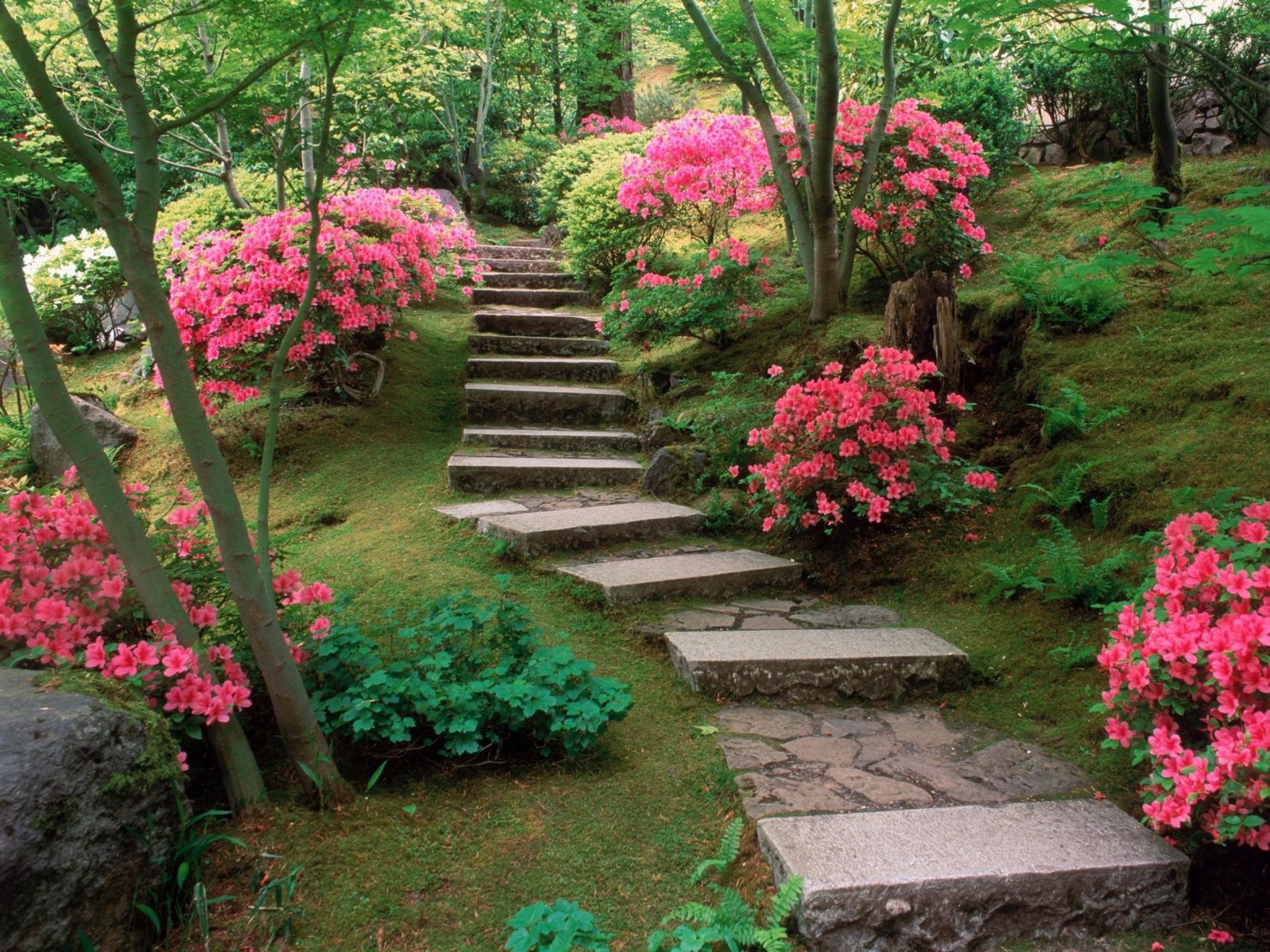 Beautiful Walkway Wallpapers - Wallpaper Cave