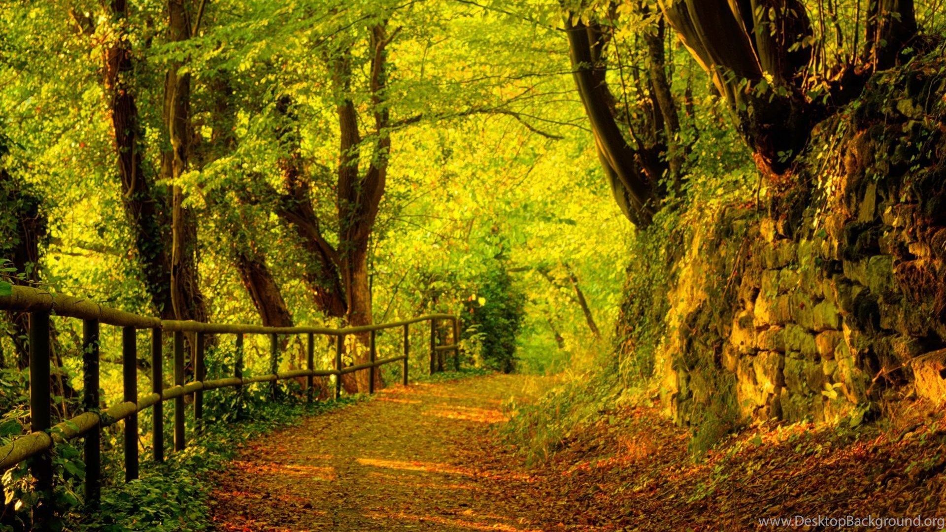 UHD Autumn Wallpapers - Wallpaper Cave