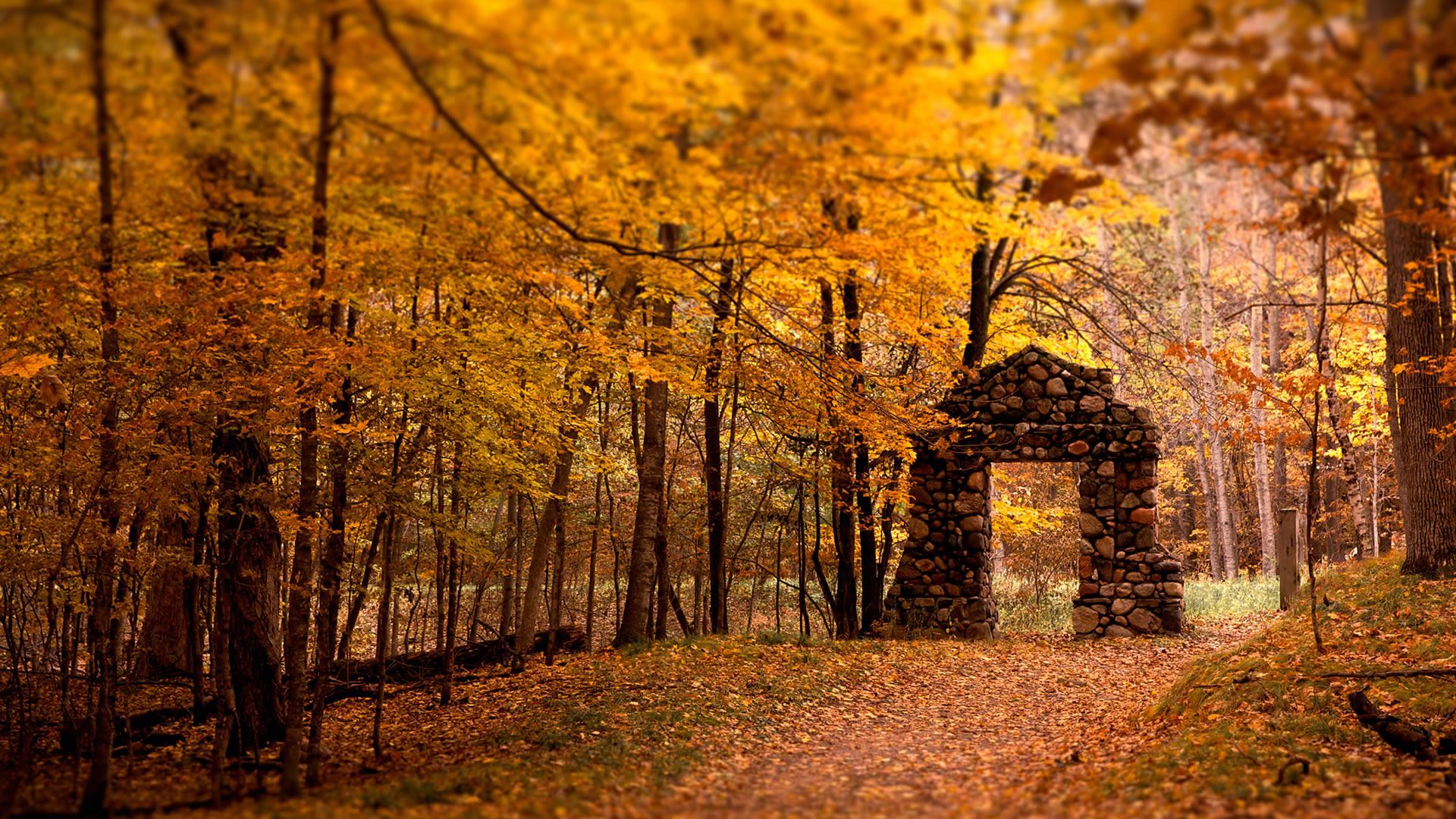UHD Autumn Wallpapers - Wallpaper Cave