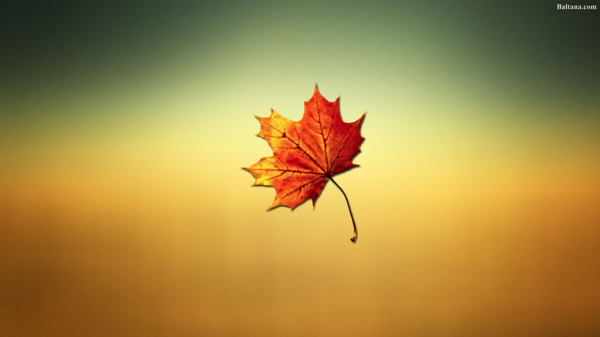 UHD Autumn Wallpapers - Wallpaper Cave