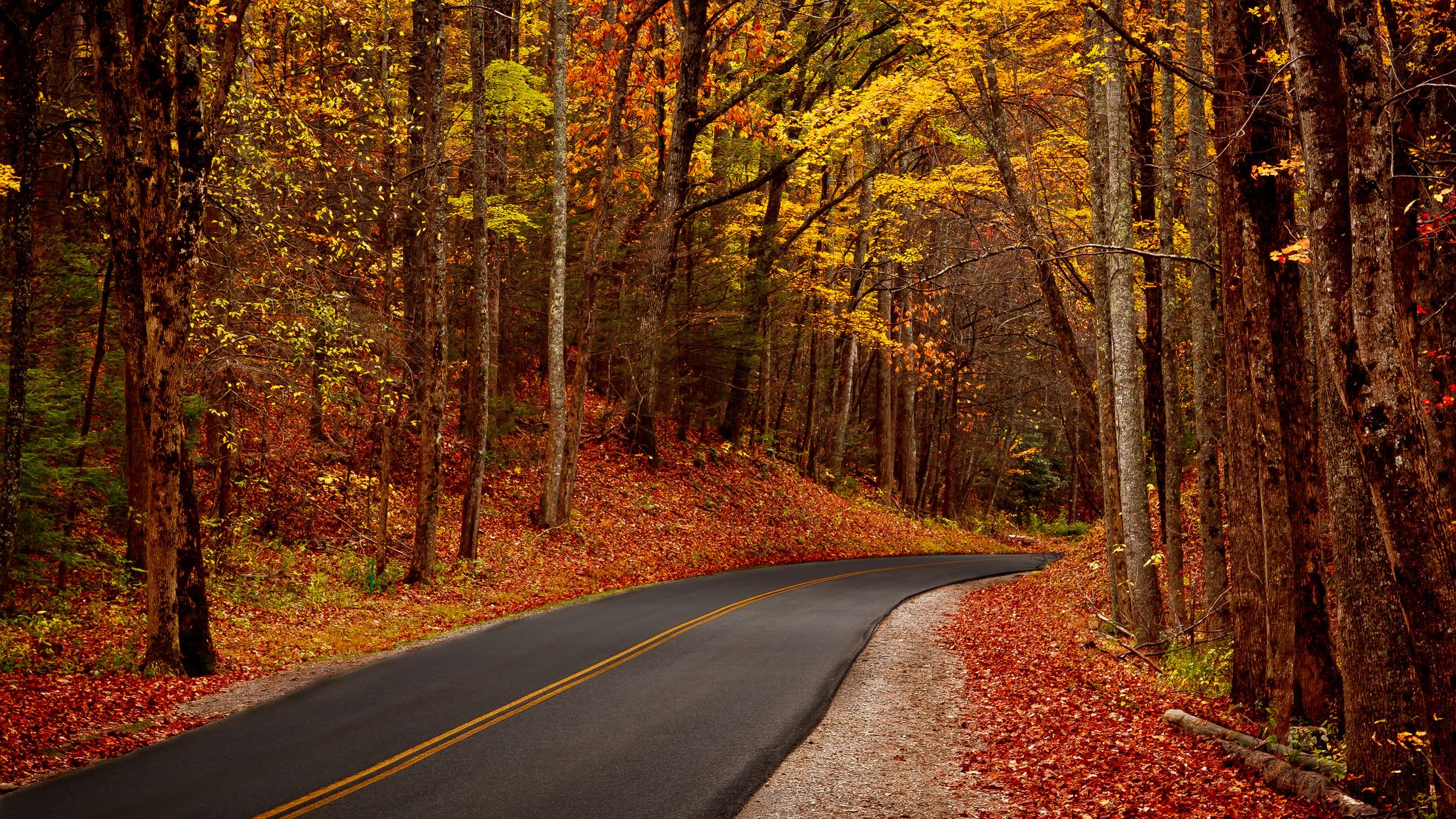 Autumn Drive Wallpapers - Wallpaper Cave