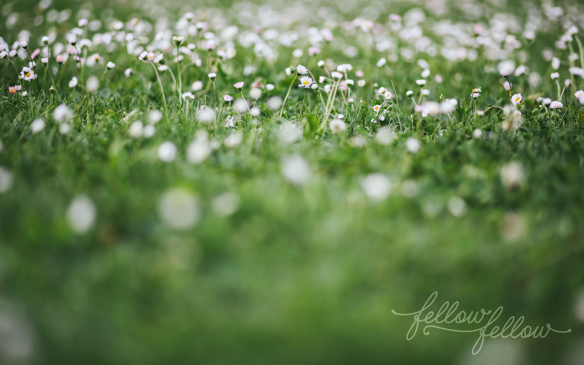 Green Garden Wallpapers - Wallpaper Cave