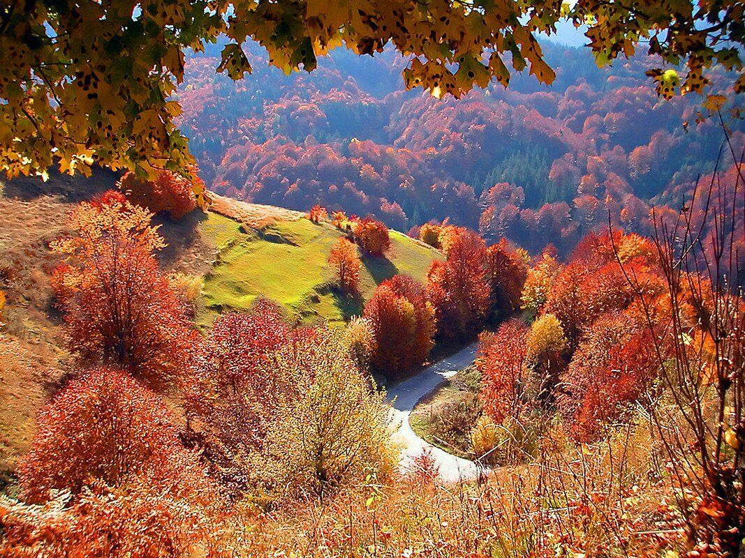 Bulgaria Autumn Wallpapers - Wallpaper Cave