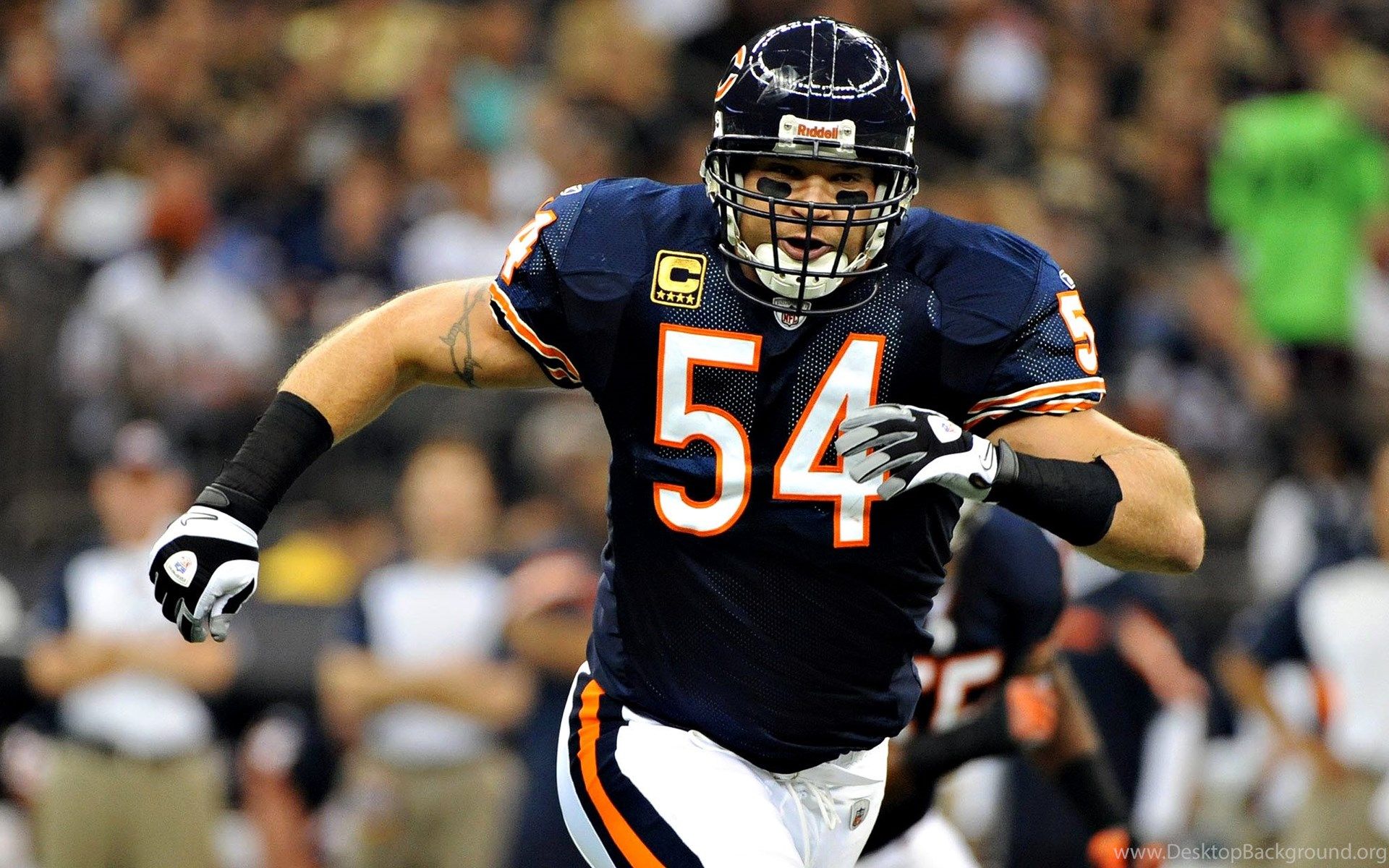 Brian Urlacher Wallpapers - Wallpaper Cave