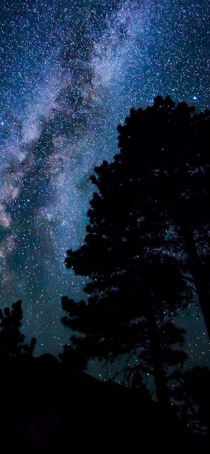 Nature At Night In Real Life Wallpapers - Wallpaper Cave