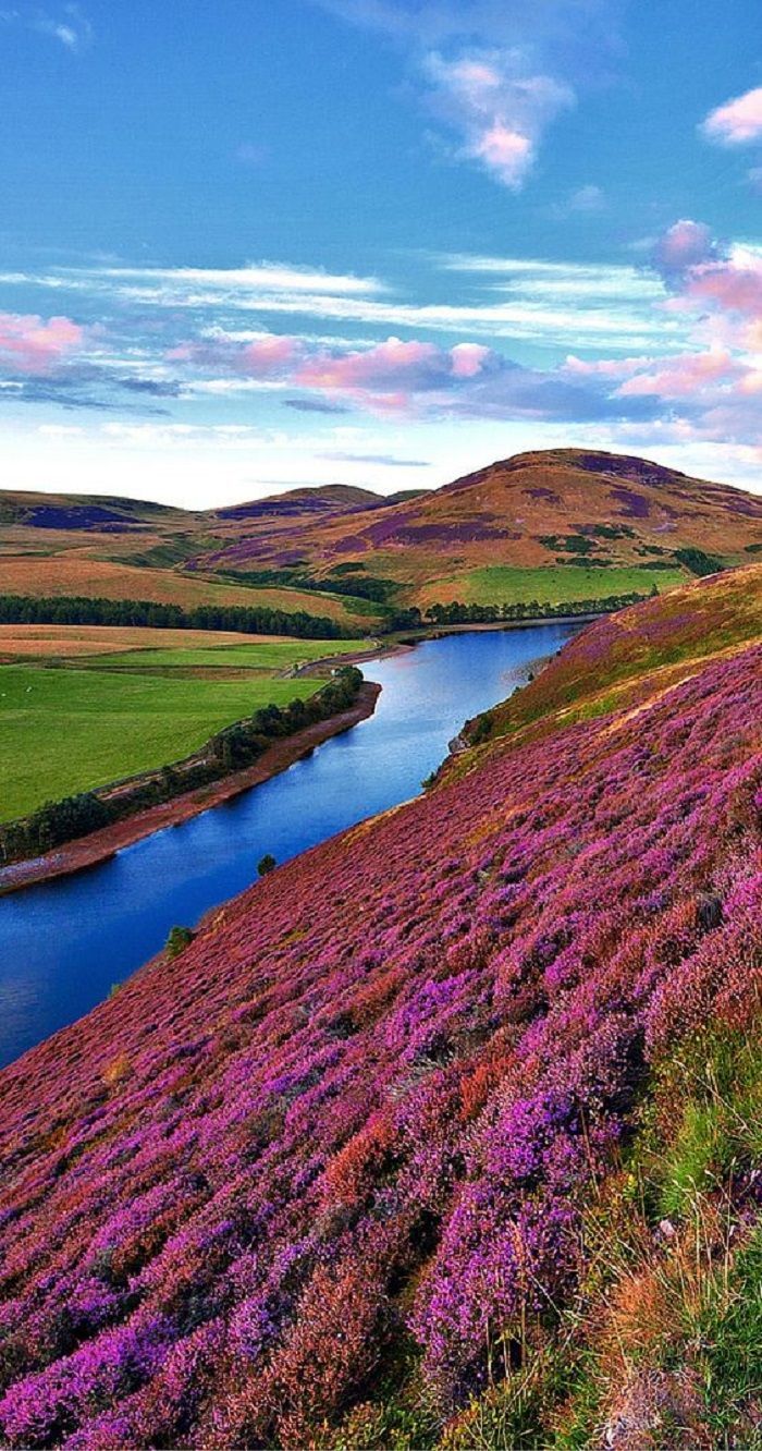 Pentland Hills Scotland Wallpapers - Wallpaper Cave