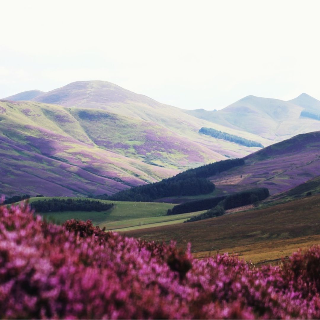 Pentland Hills Scotland Wallpapers - Wallpaper Cave