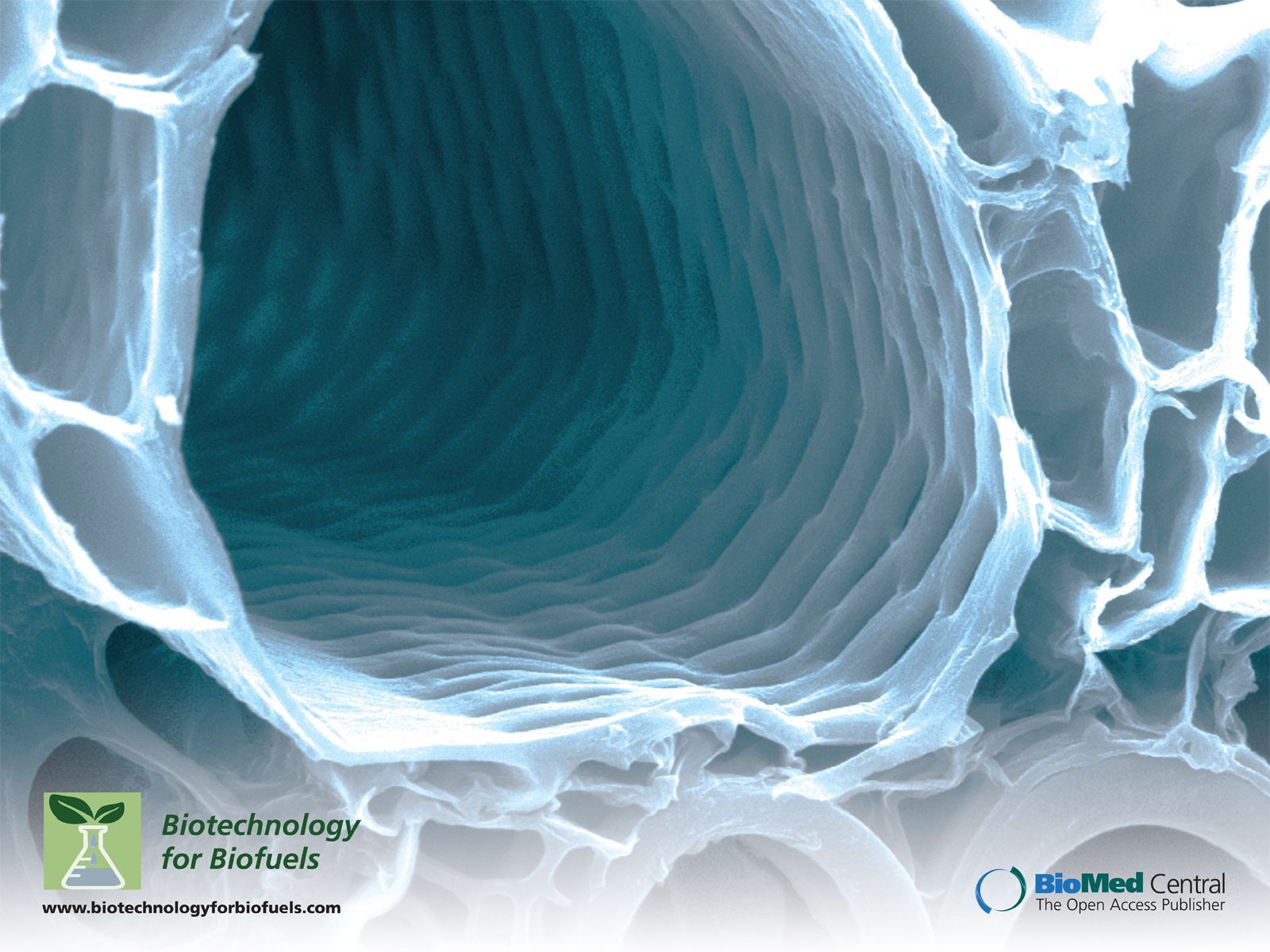 Biotech Wallpapers - Wallpaper Cave