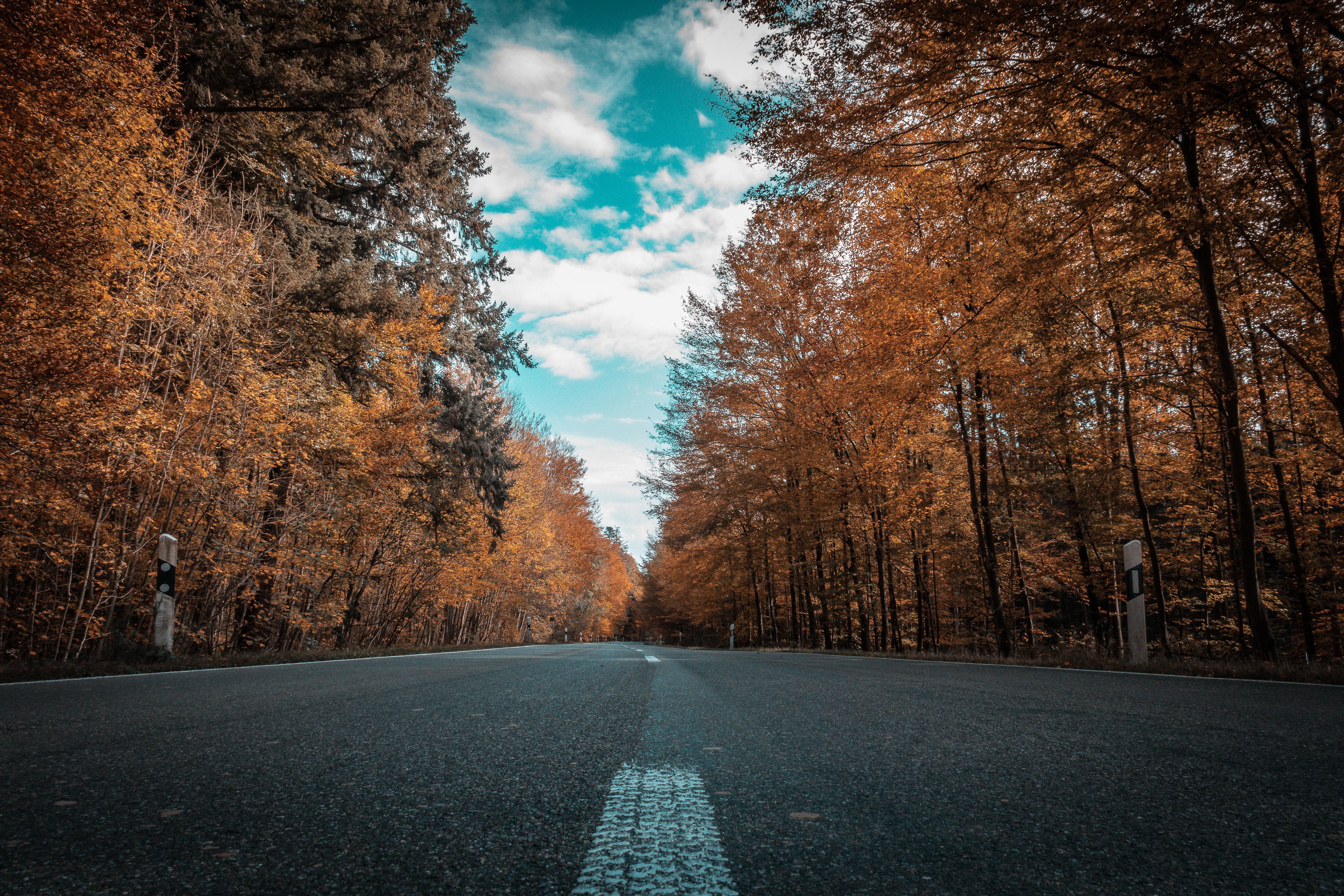 Road To Autumn Wallpapers - Wallpaper Cave